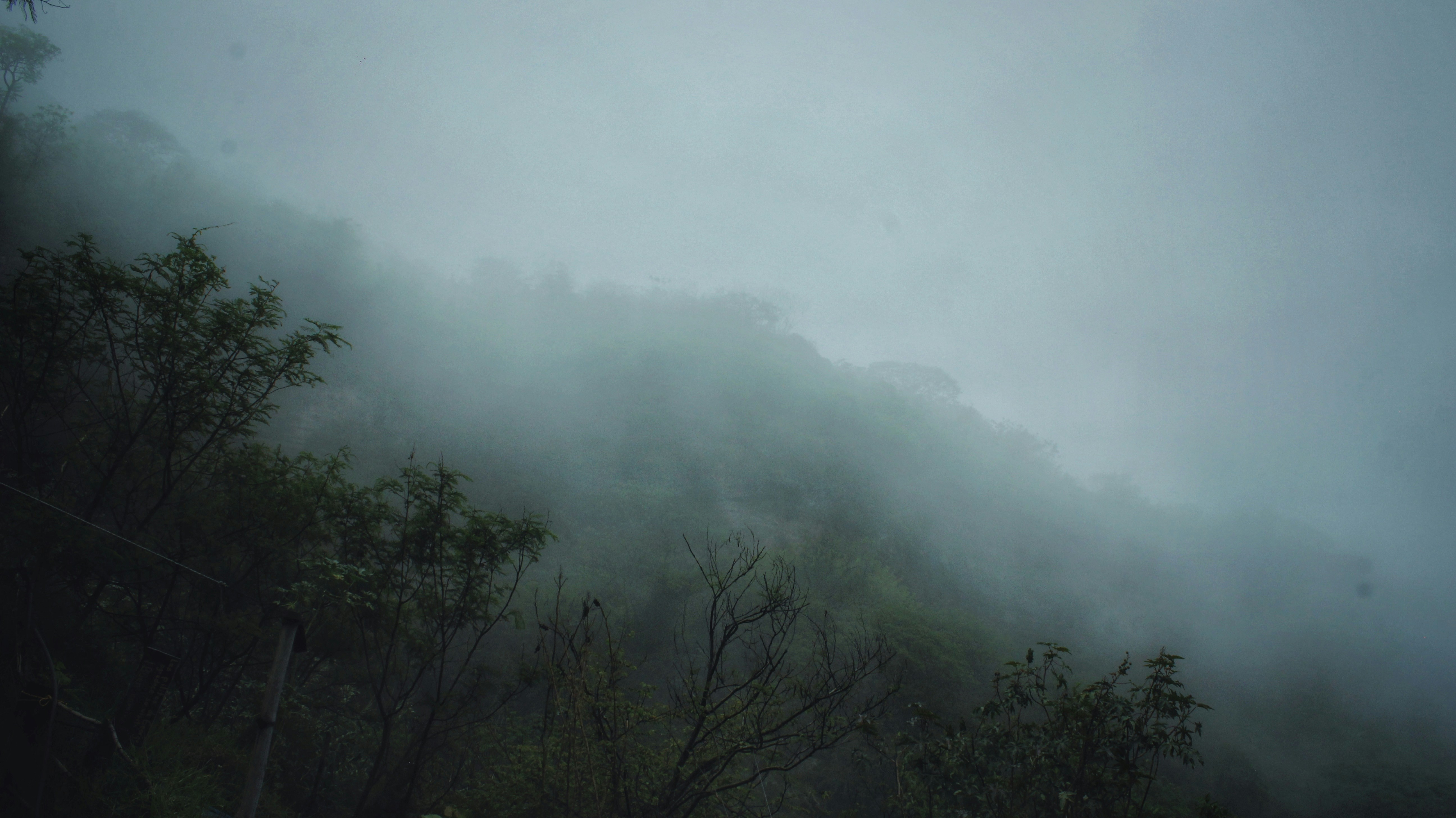 Mist Over the Ridge: Quiet Valleys Hidden in Early Fog