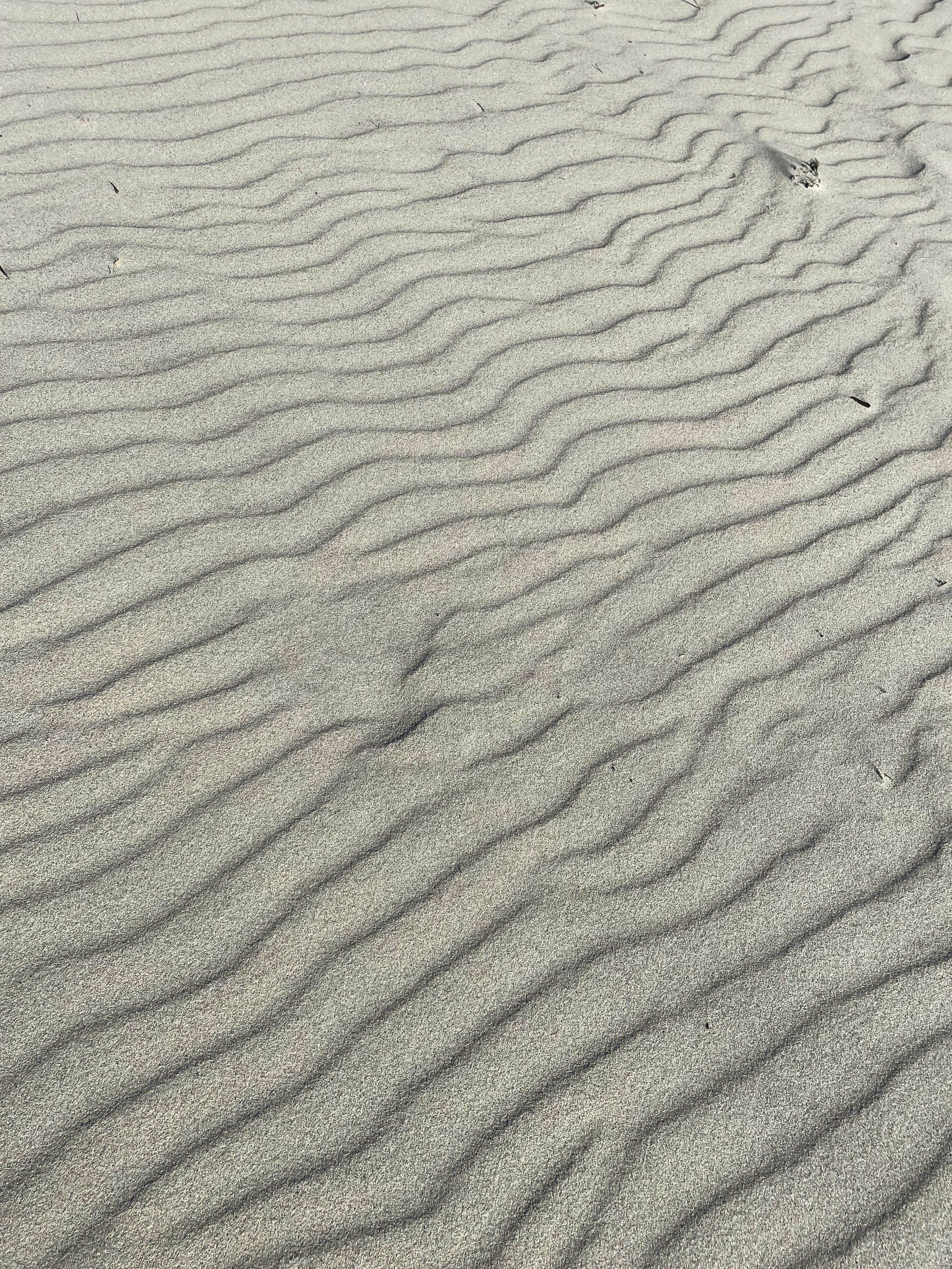 Ribbed Quiet: Sand Ripples Beyond the Footprint
