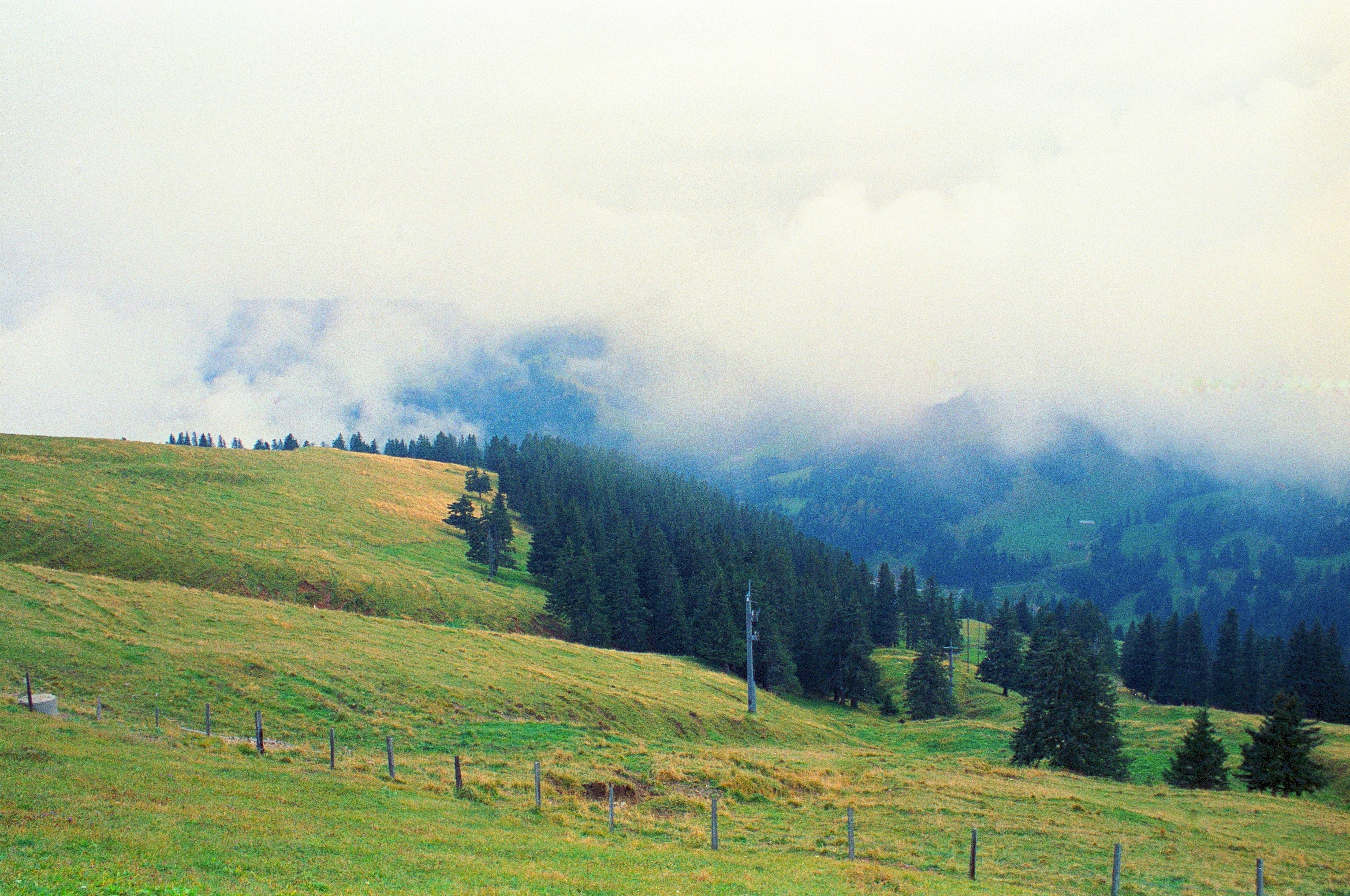 Dawn Mist over the Rolling Alpine Pasture