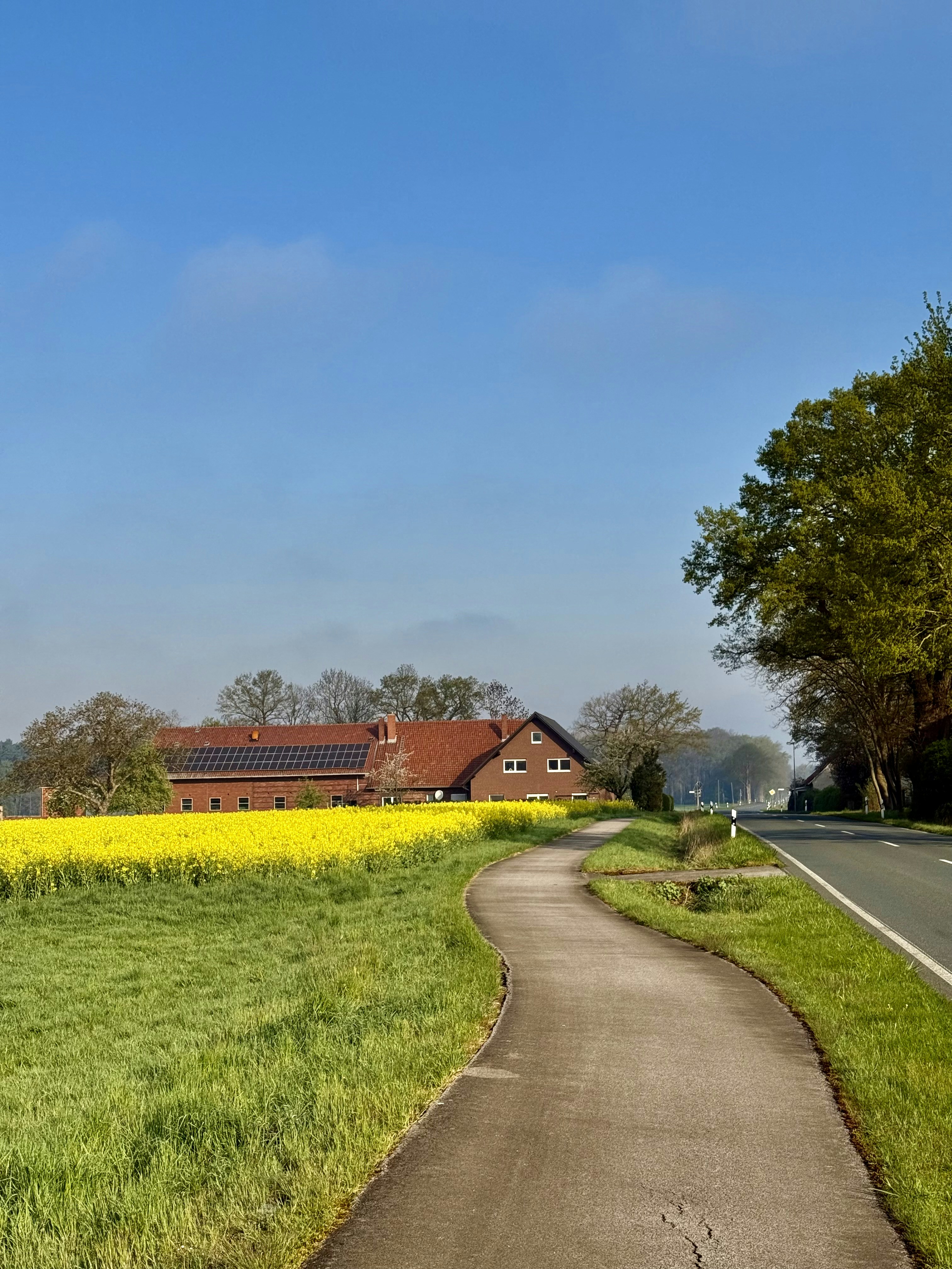 Country Lane to a Quiet Farm