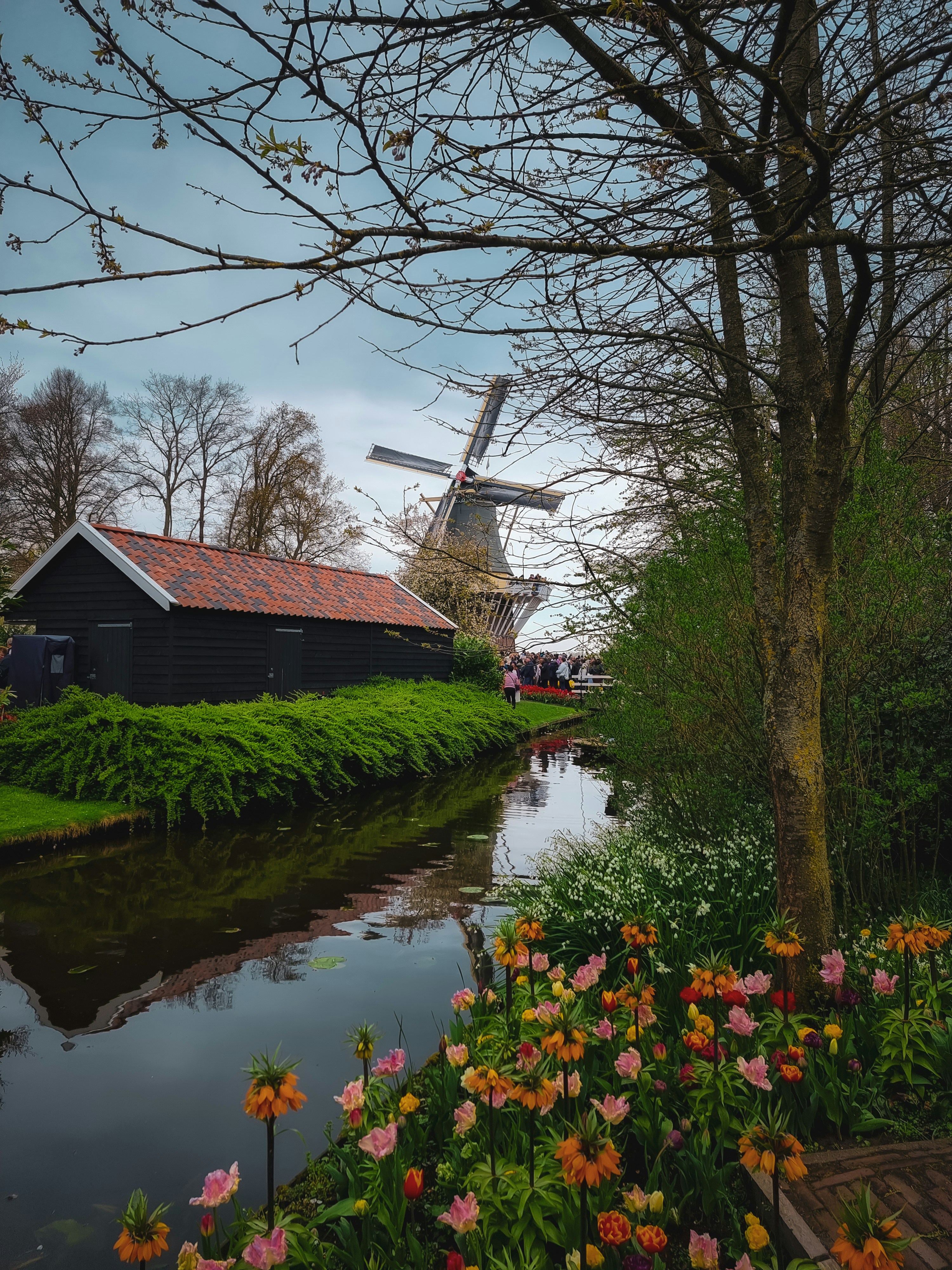 Spring Canal with Windmill View