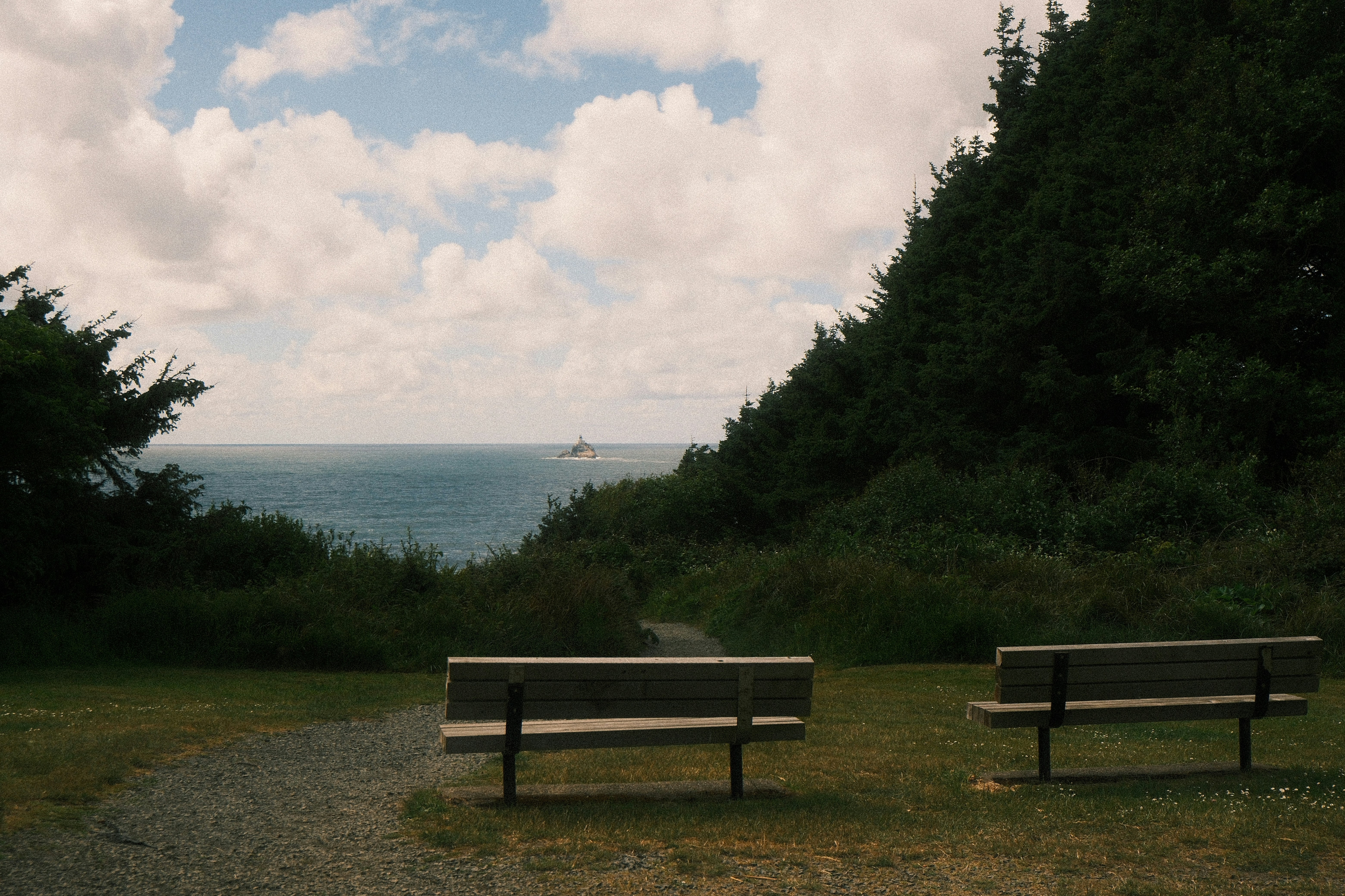 Two benches Face the Sea: A Quiet Coastal Clearing