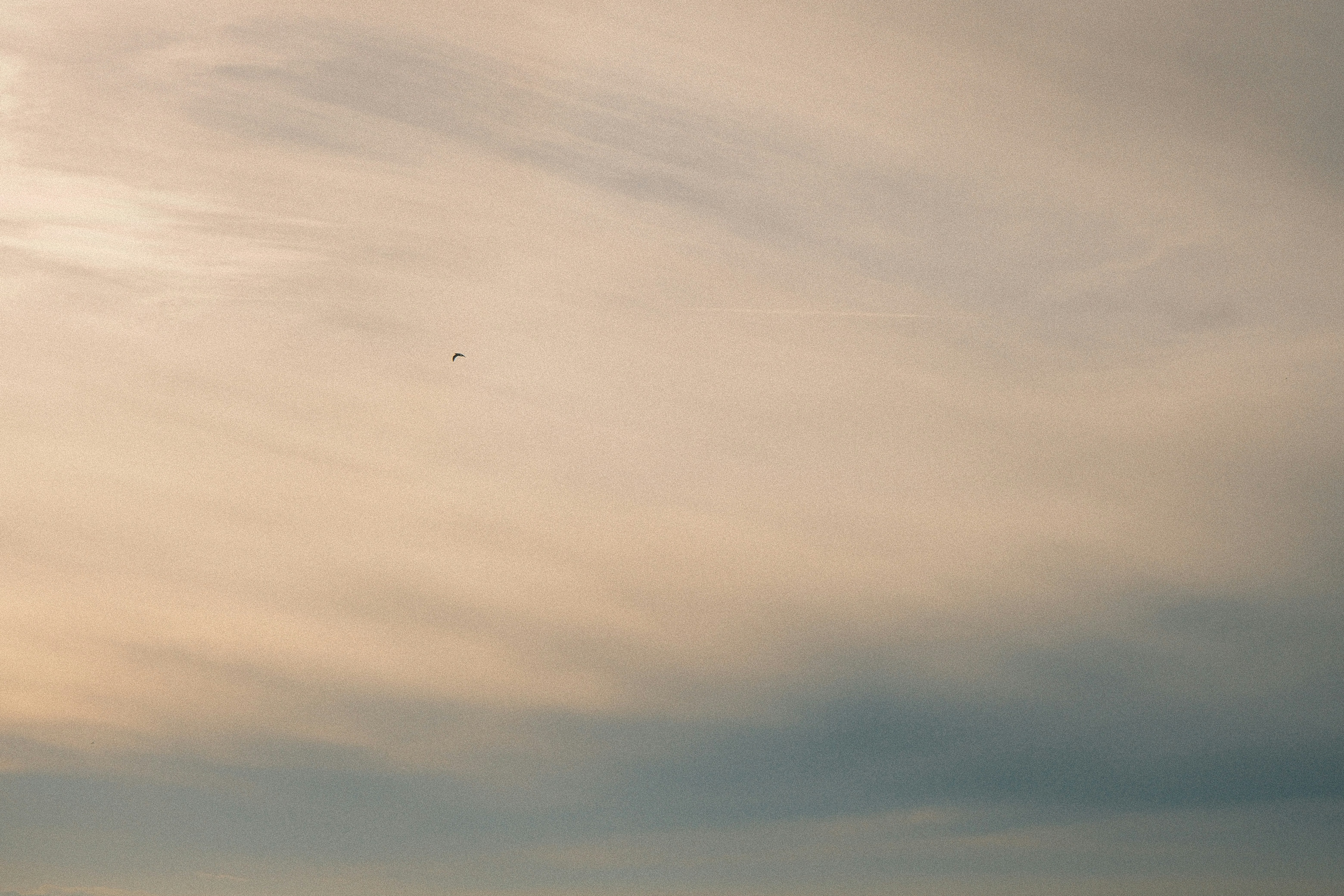 Soft Dawn Drifter