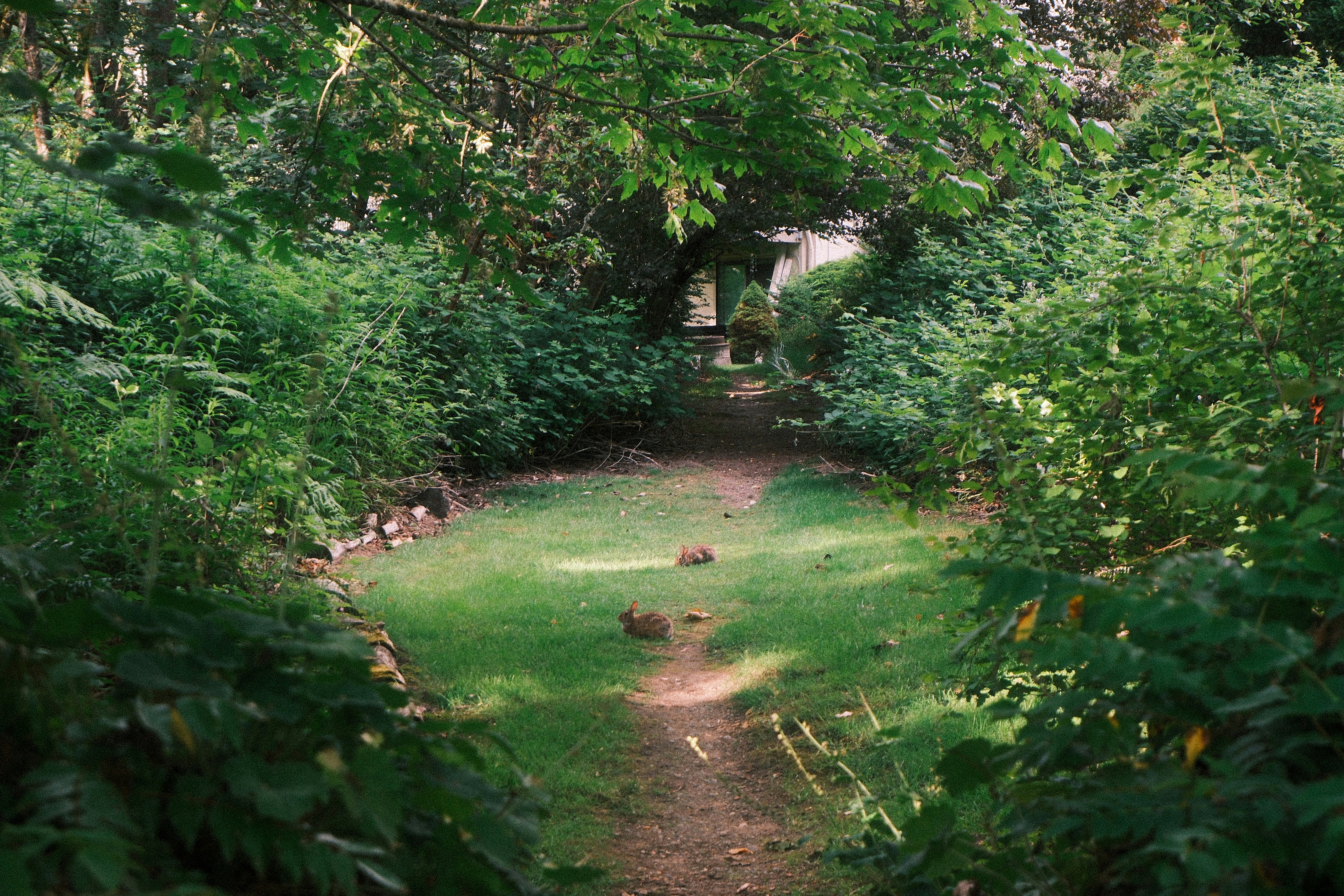 Hidden Path to the Garden House
