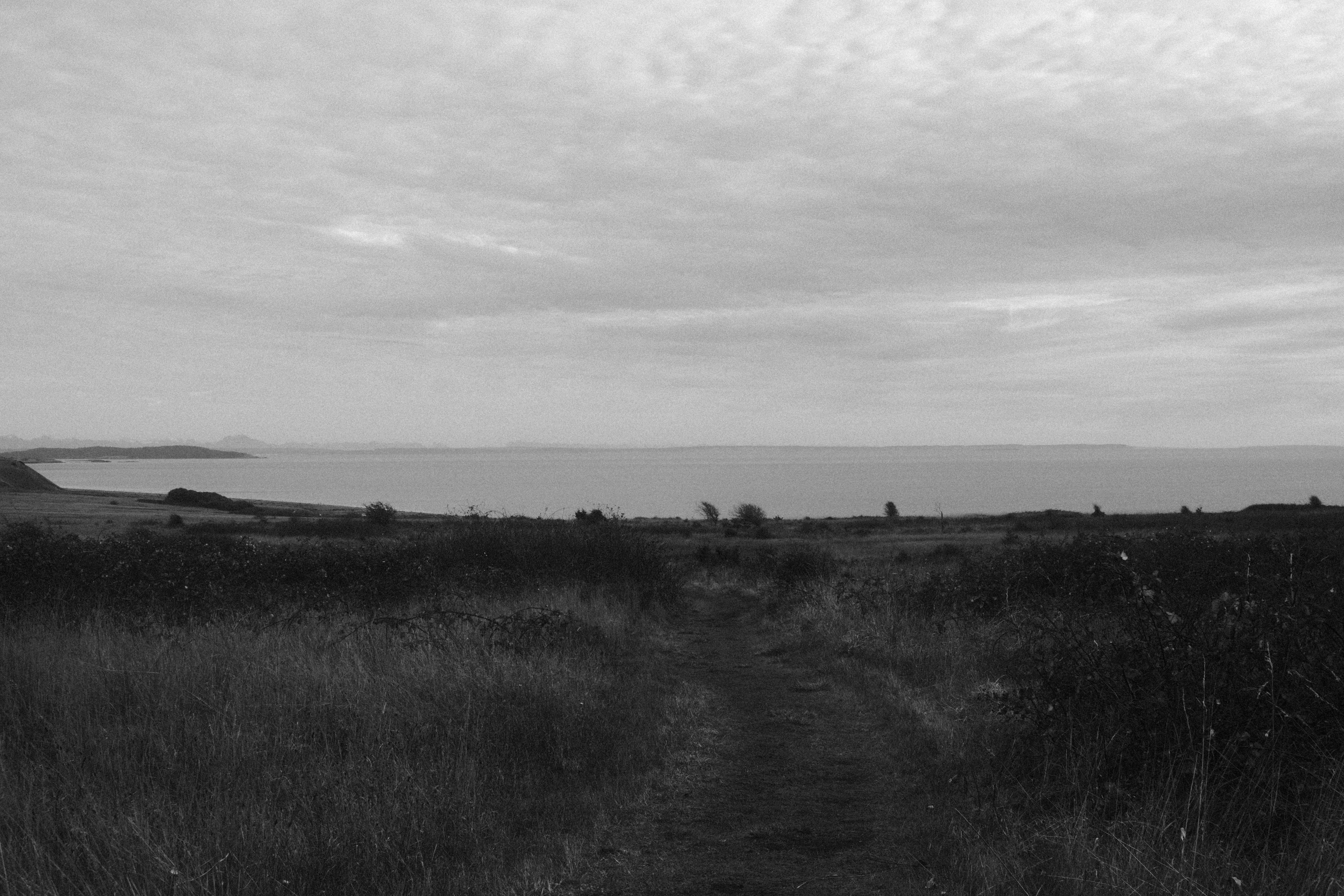 Coastal Path Toward a Quiet Horizon