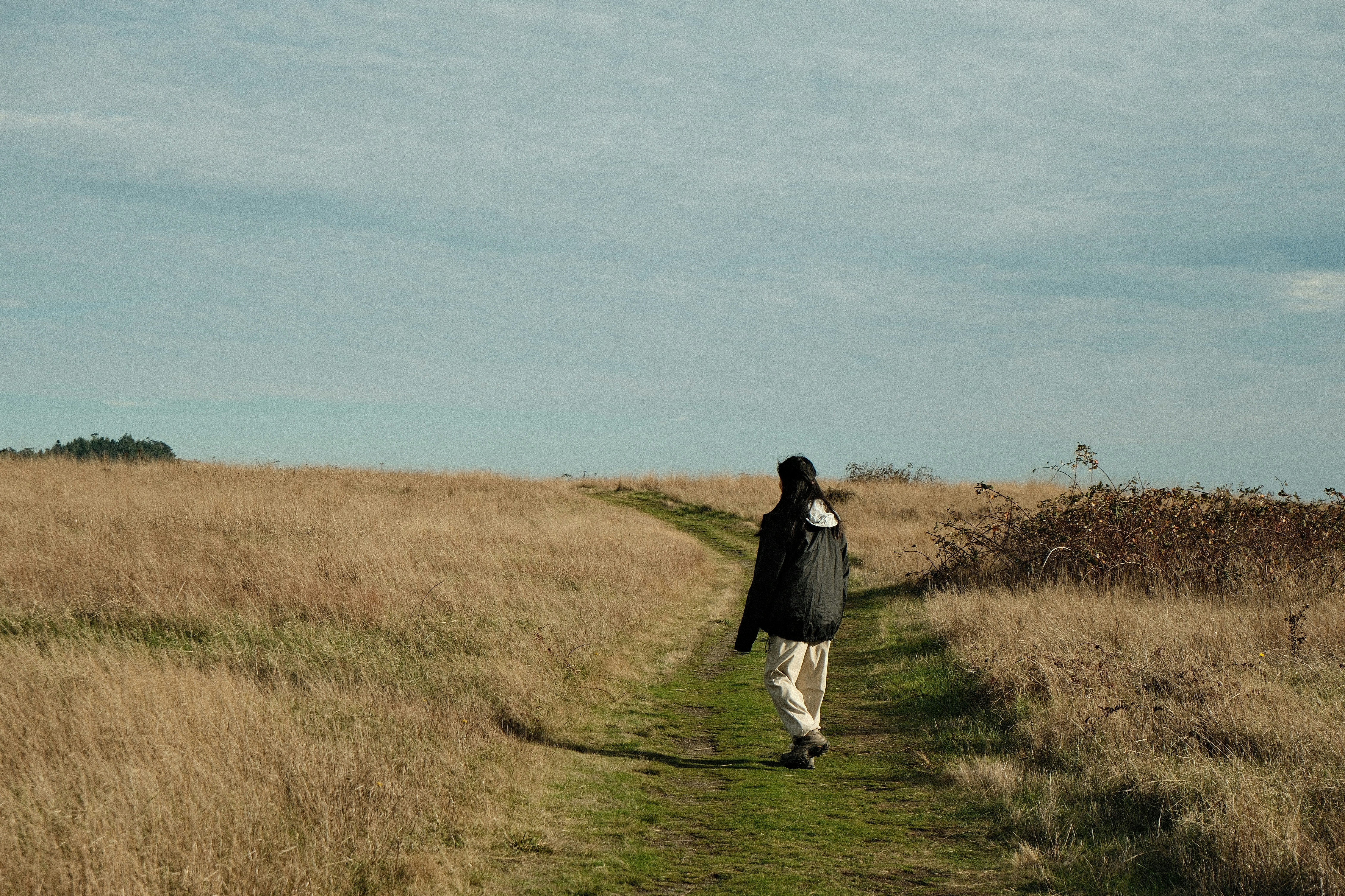 Winding Path, Quiet Journey