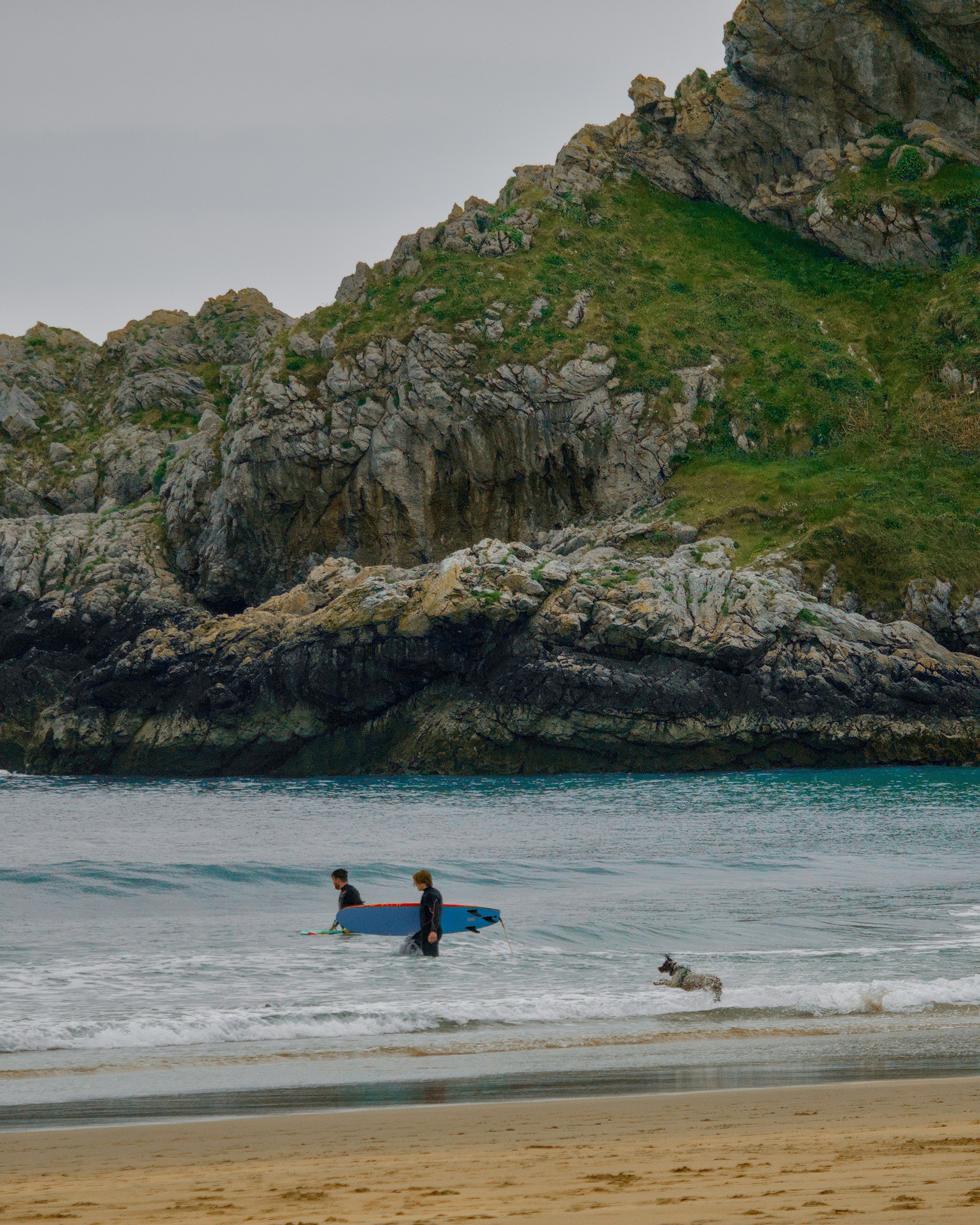 Two surfers wade toward the water with a blue board near a rocky coastline while a dog runs along the shoreline.