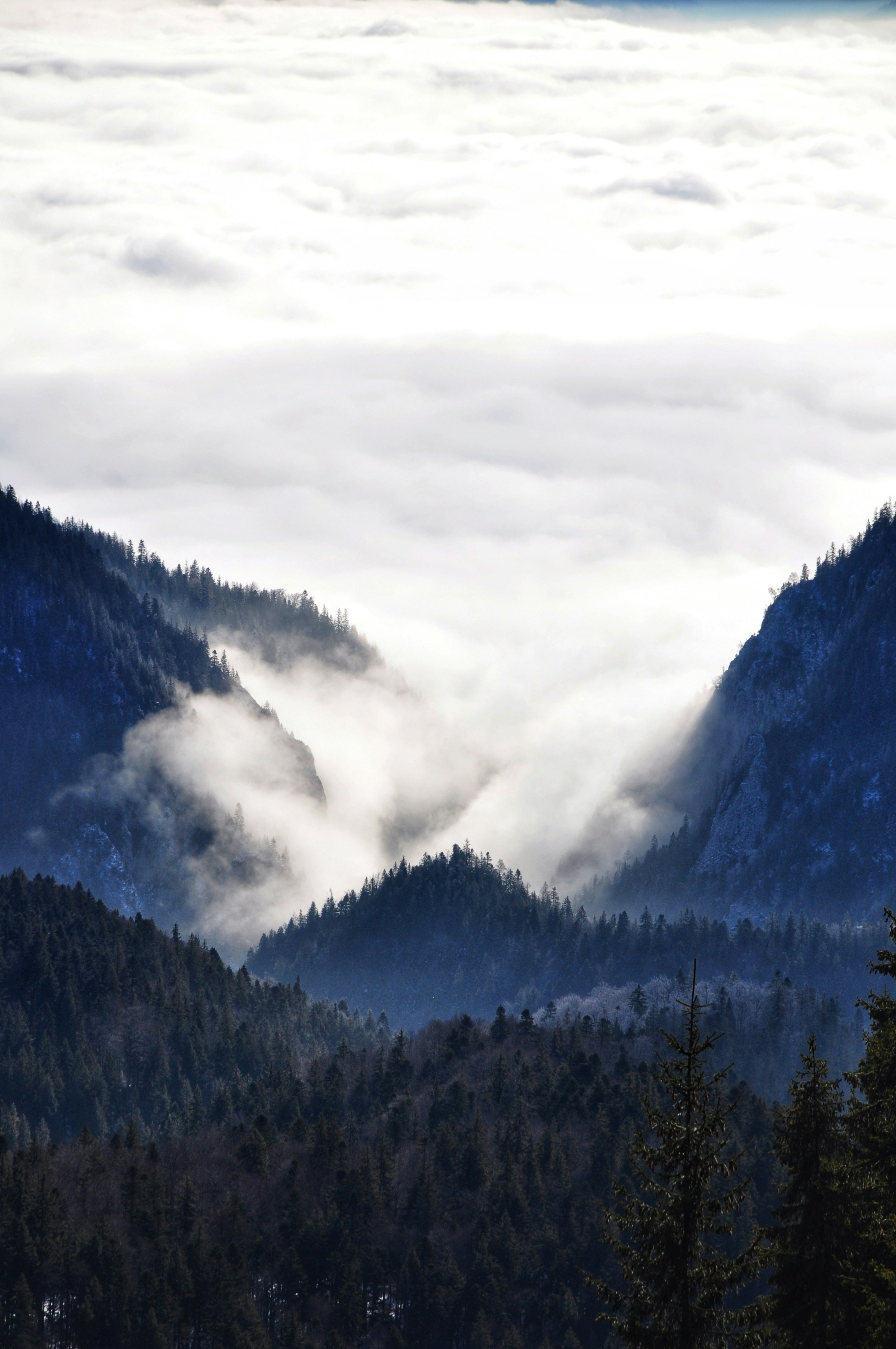 Photo by Andrei Caraman with Nikon D5000