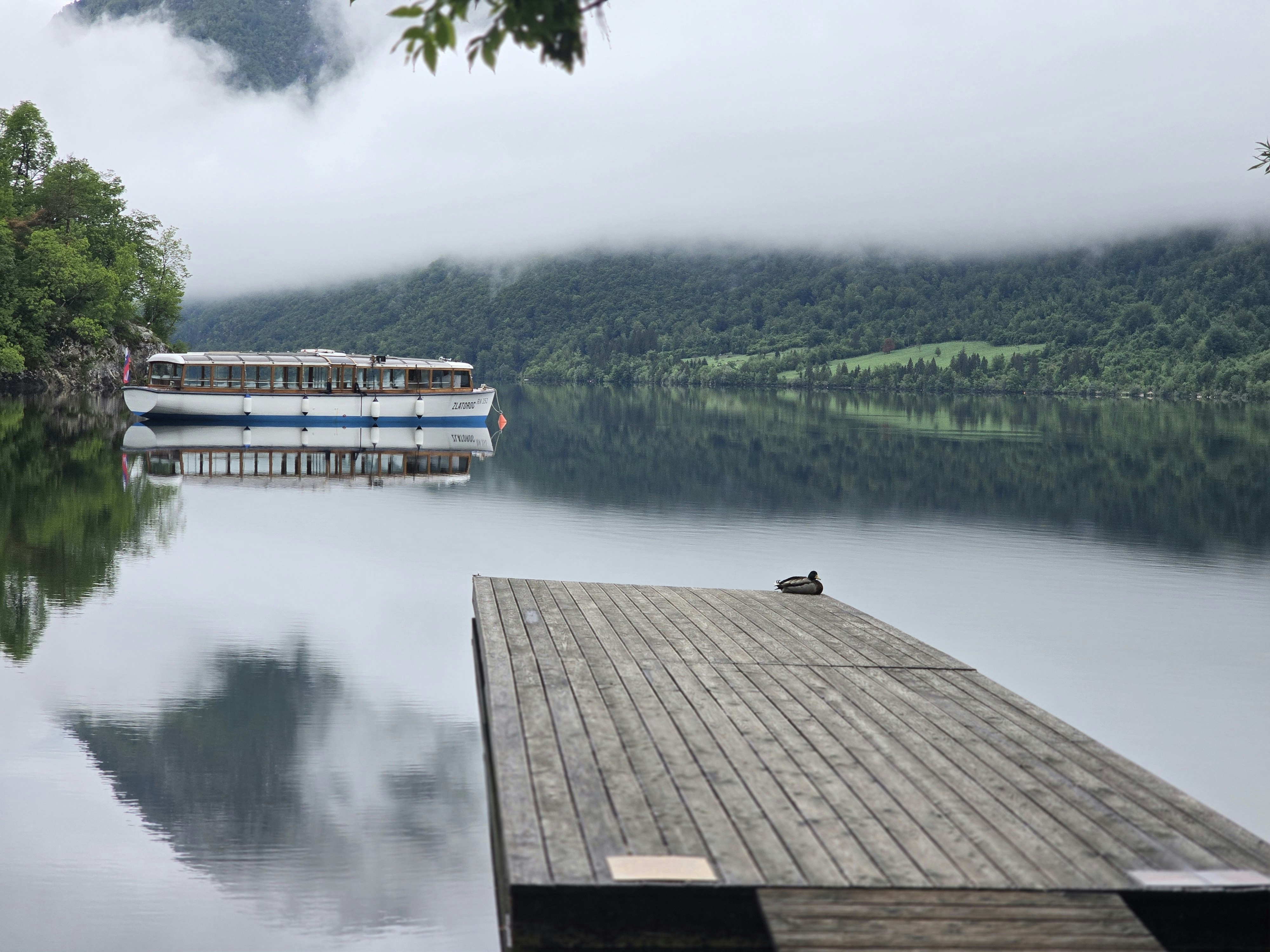 Calm Lake Vista: A Dock Reaches Toward Whispering Mountains