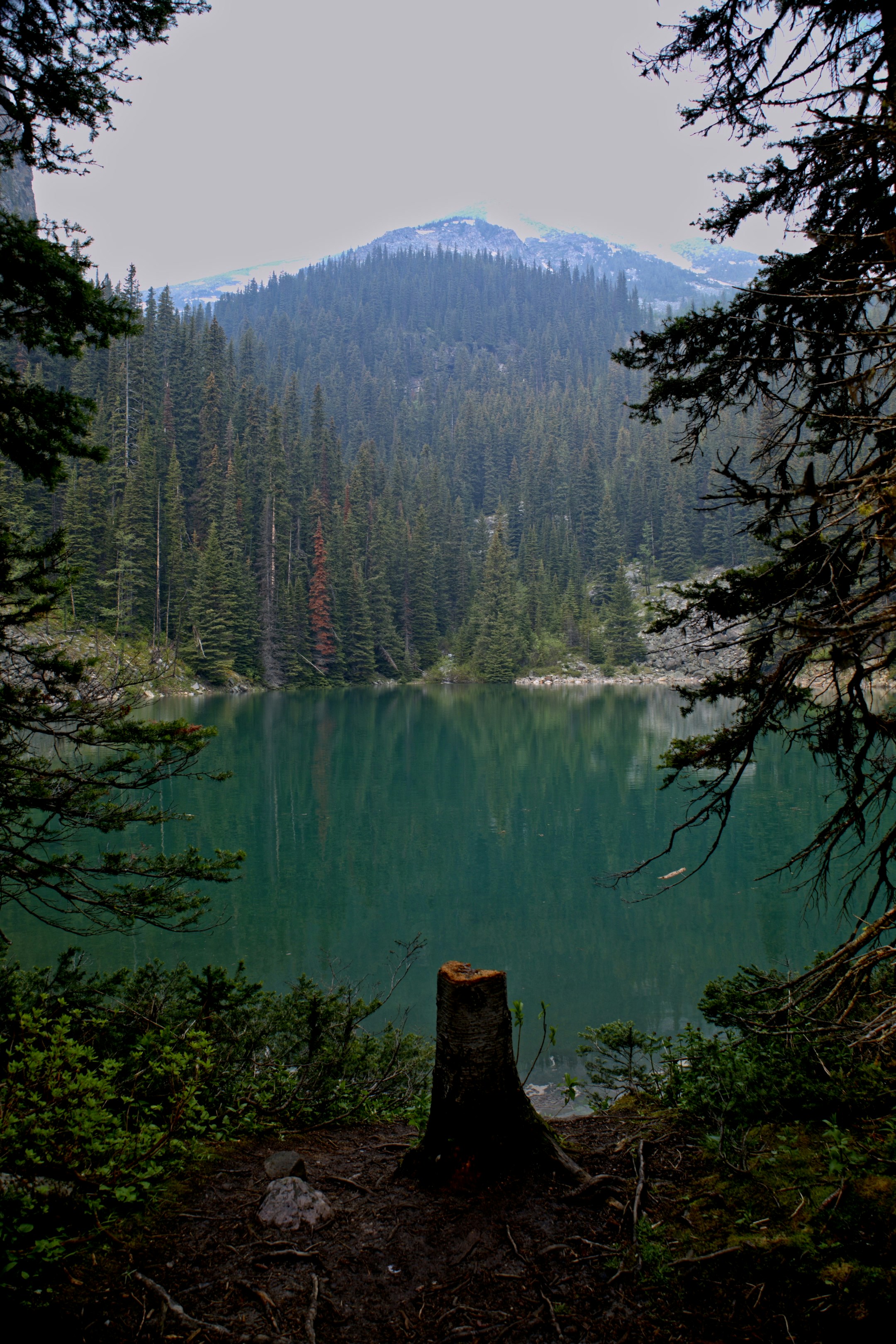 Glacial Mirror: Still Lake Framed by Conifer Canyons
