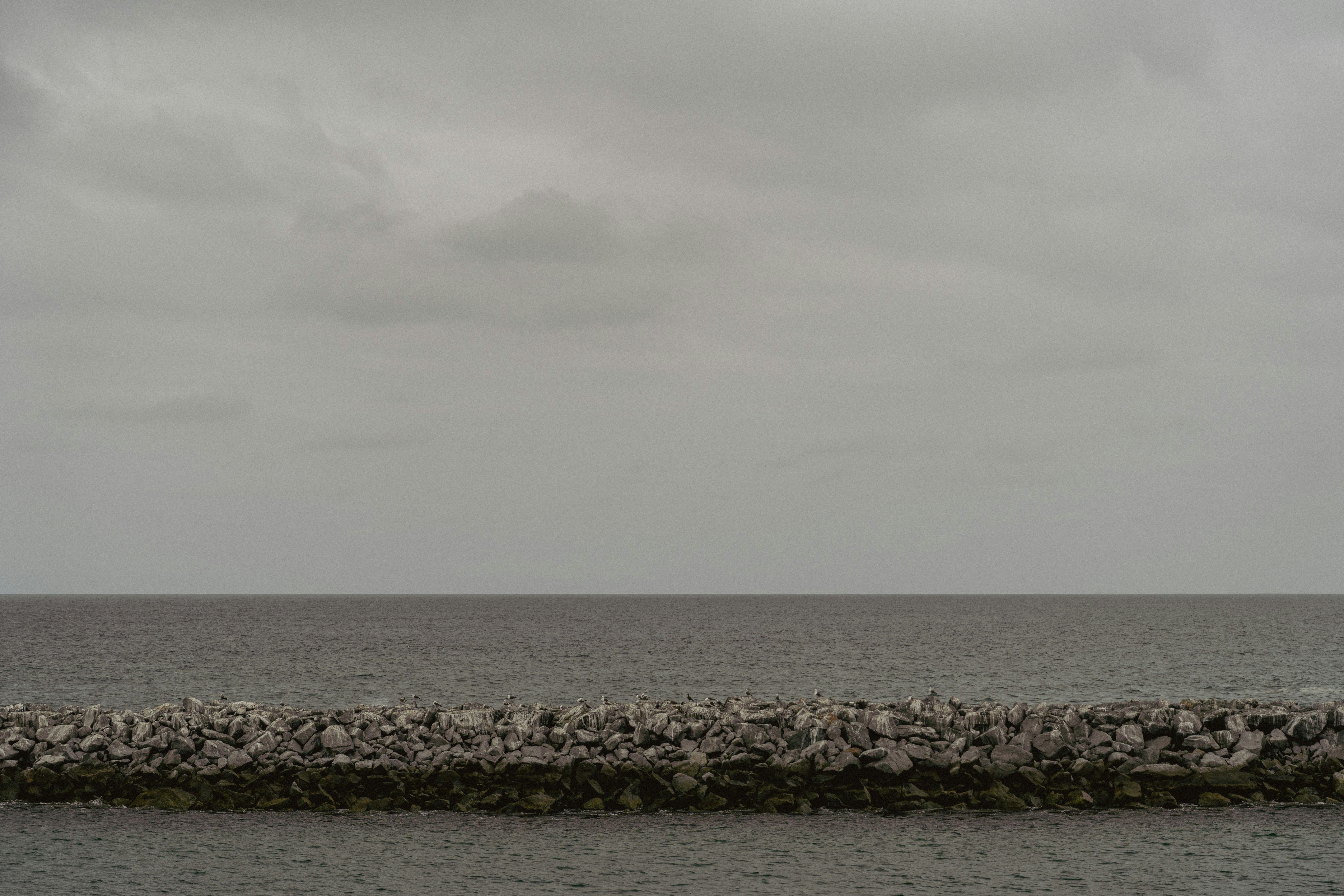 Horizon in Quiet Waters