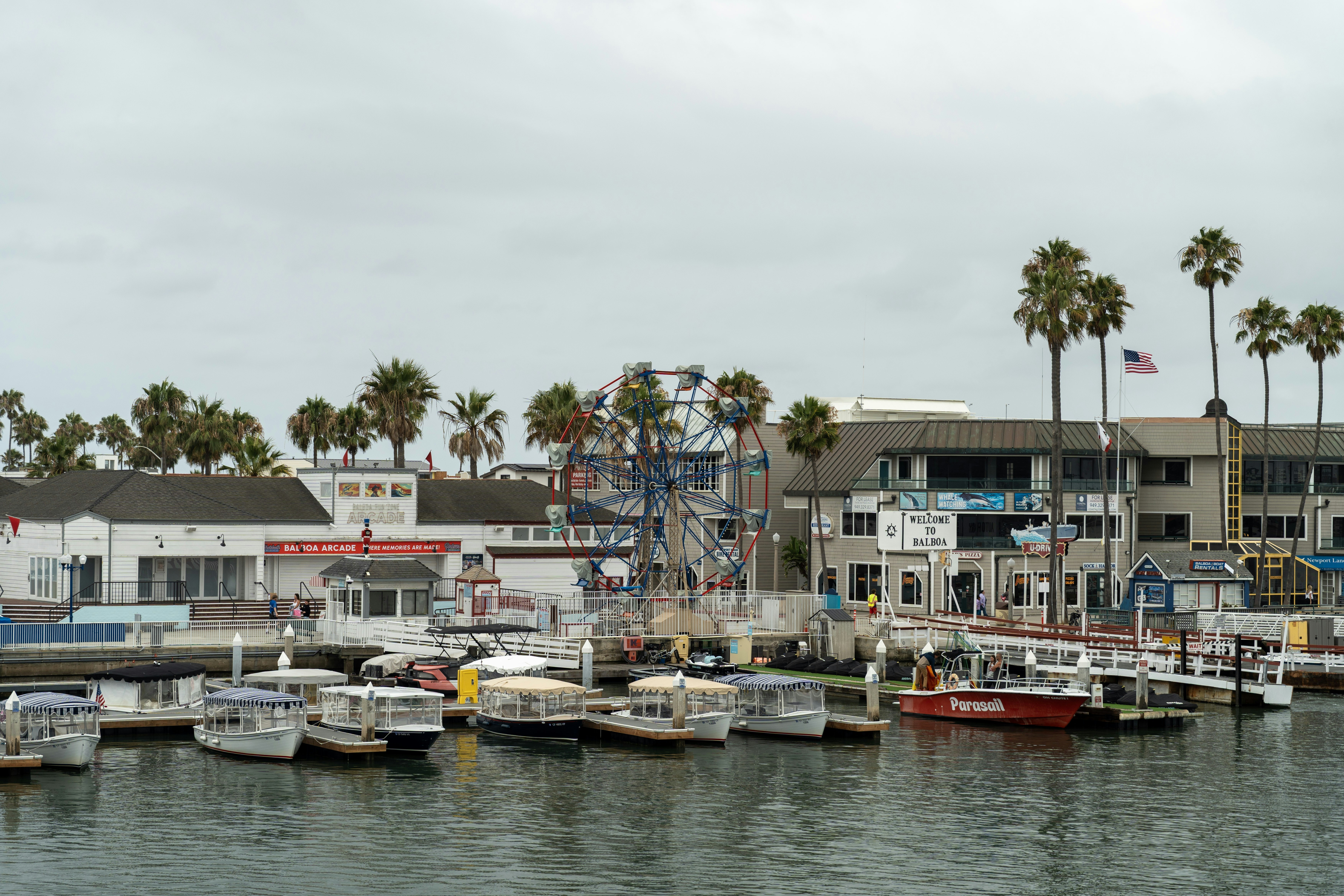 Harbor Cafe and Palm Row
