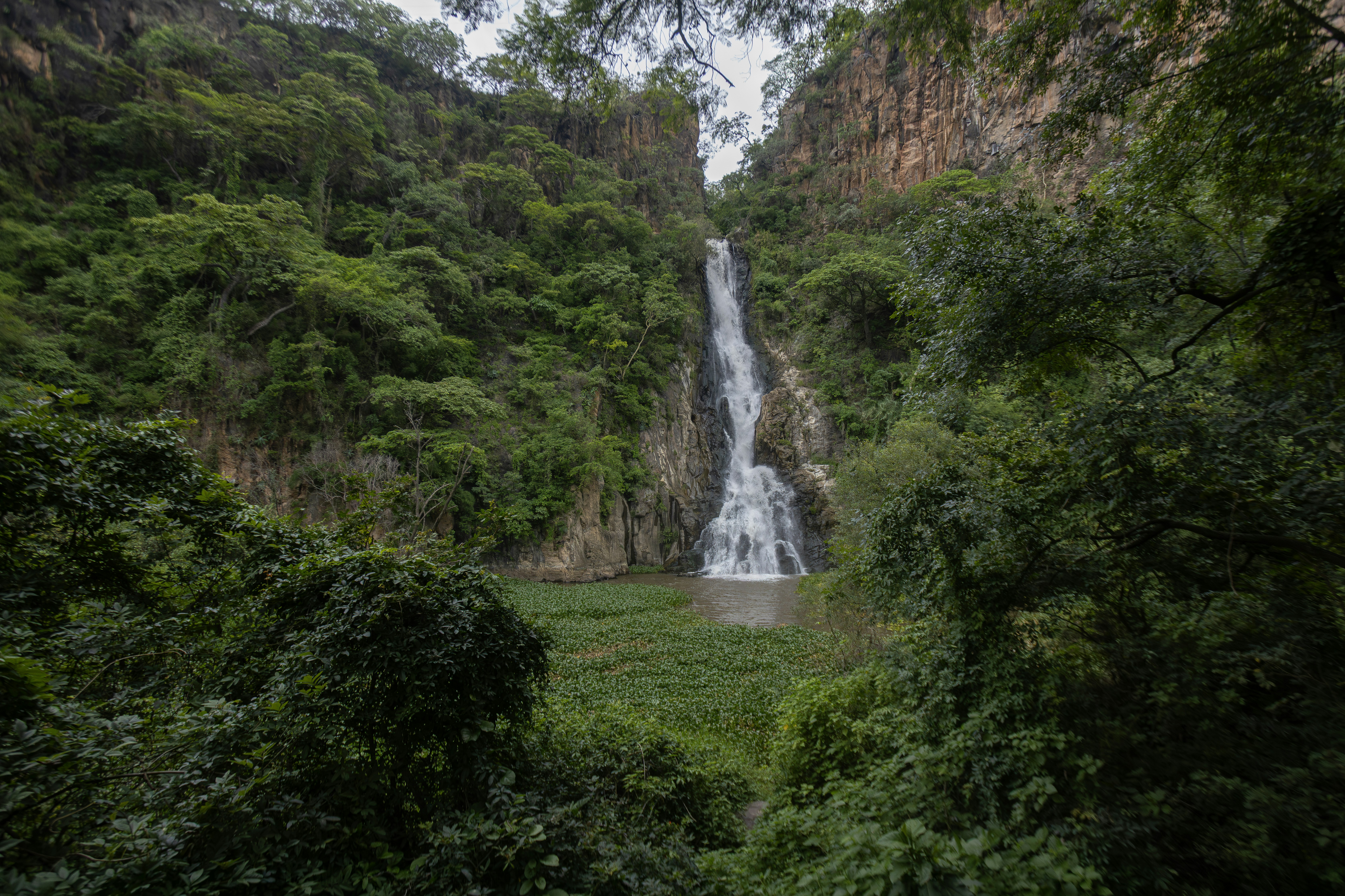 Midnight Cascade: A Verdant Canyon Veil