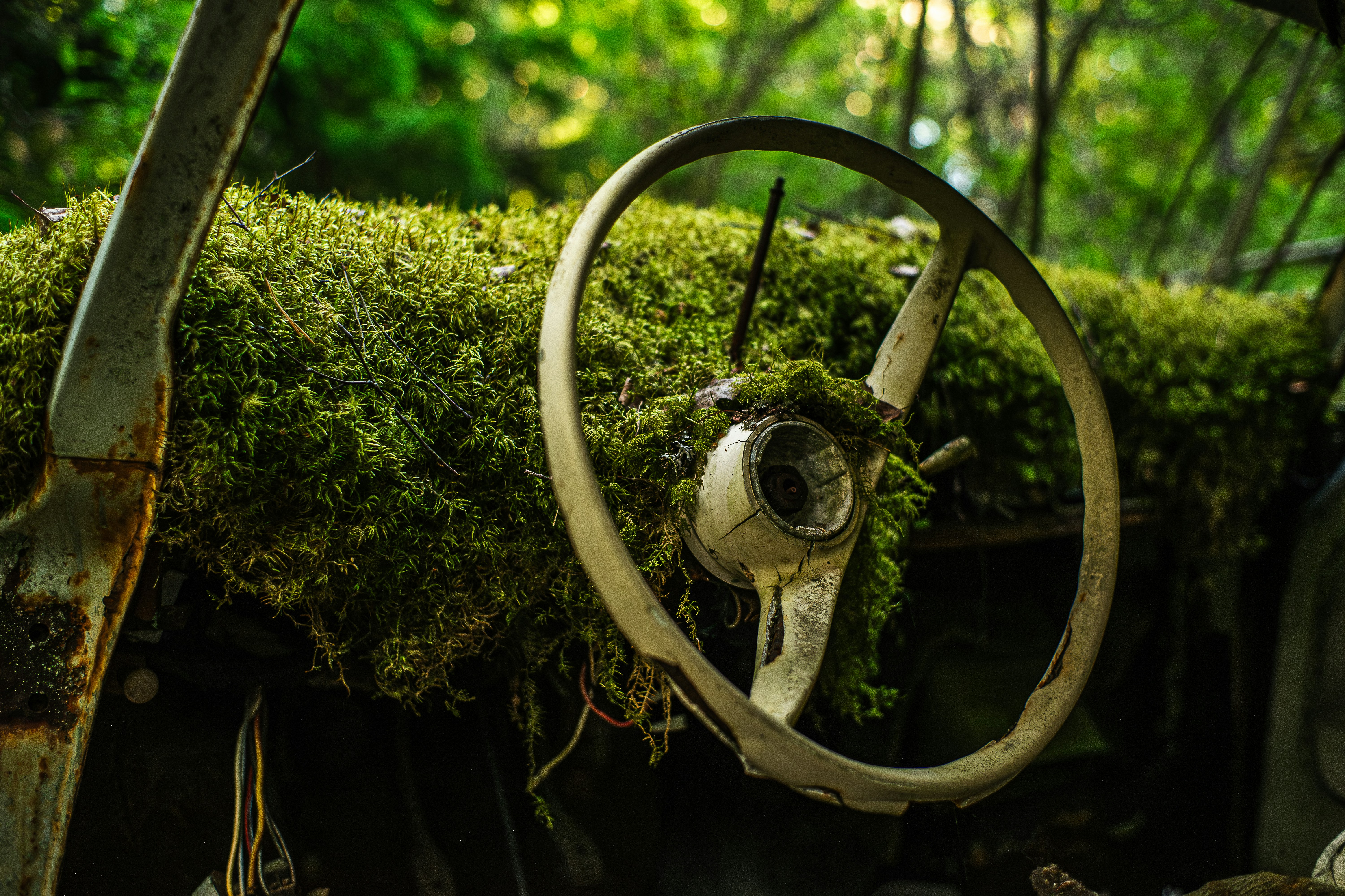 Circular Grip of Time: Moss-Covered Mechanism in a Quiet Garden Corner