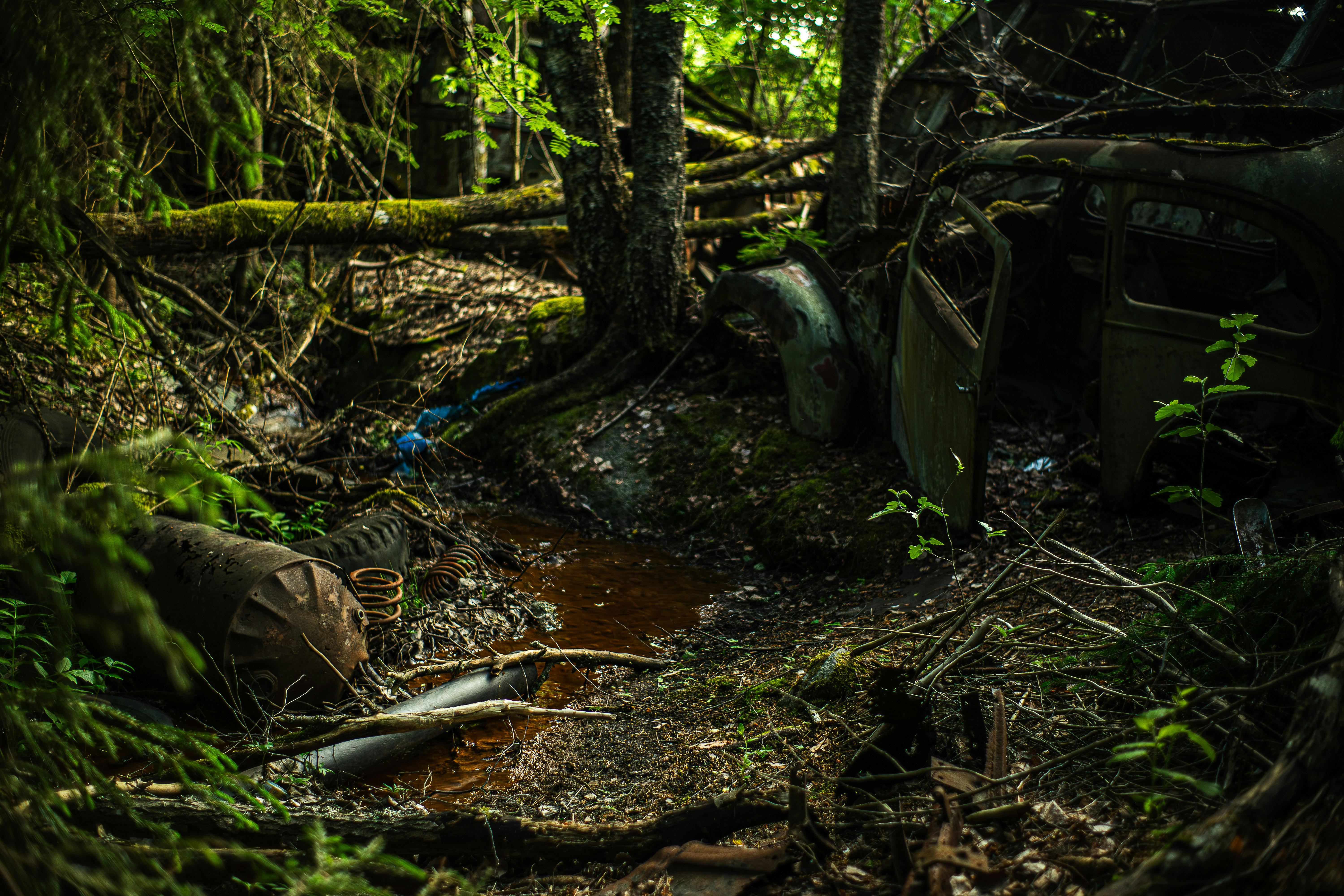 Overgrown Cemetery of Rust: A Rusted Car and Debris in a Forest