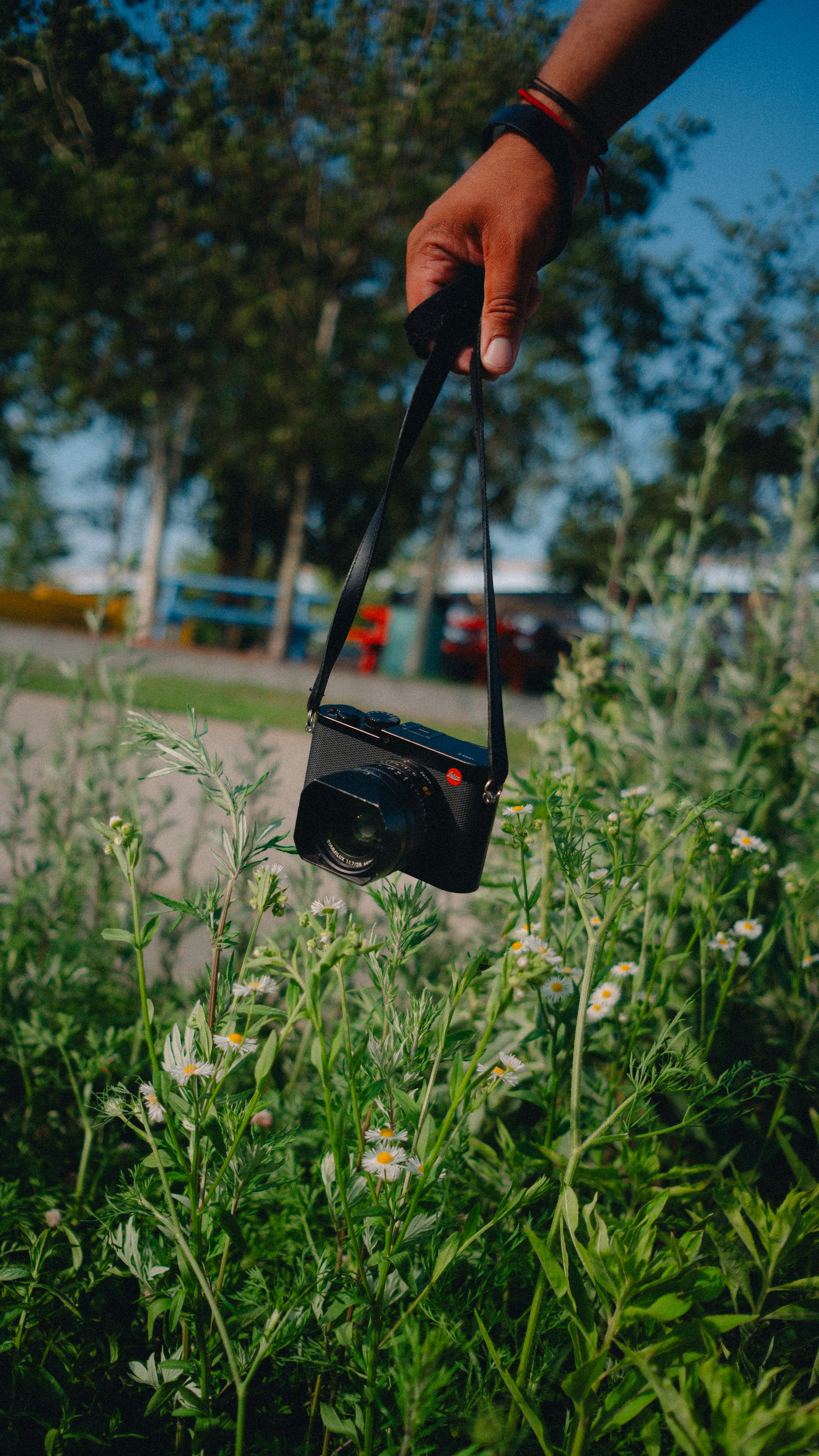 Caught in the Lift: A Hand Hoists a Compact Camera Over Wildflowers