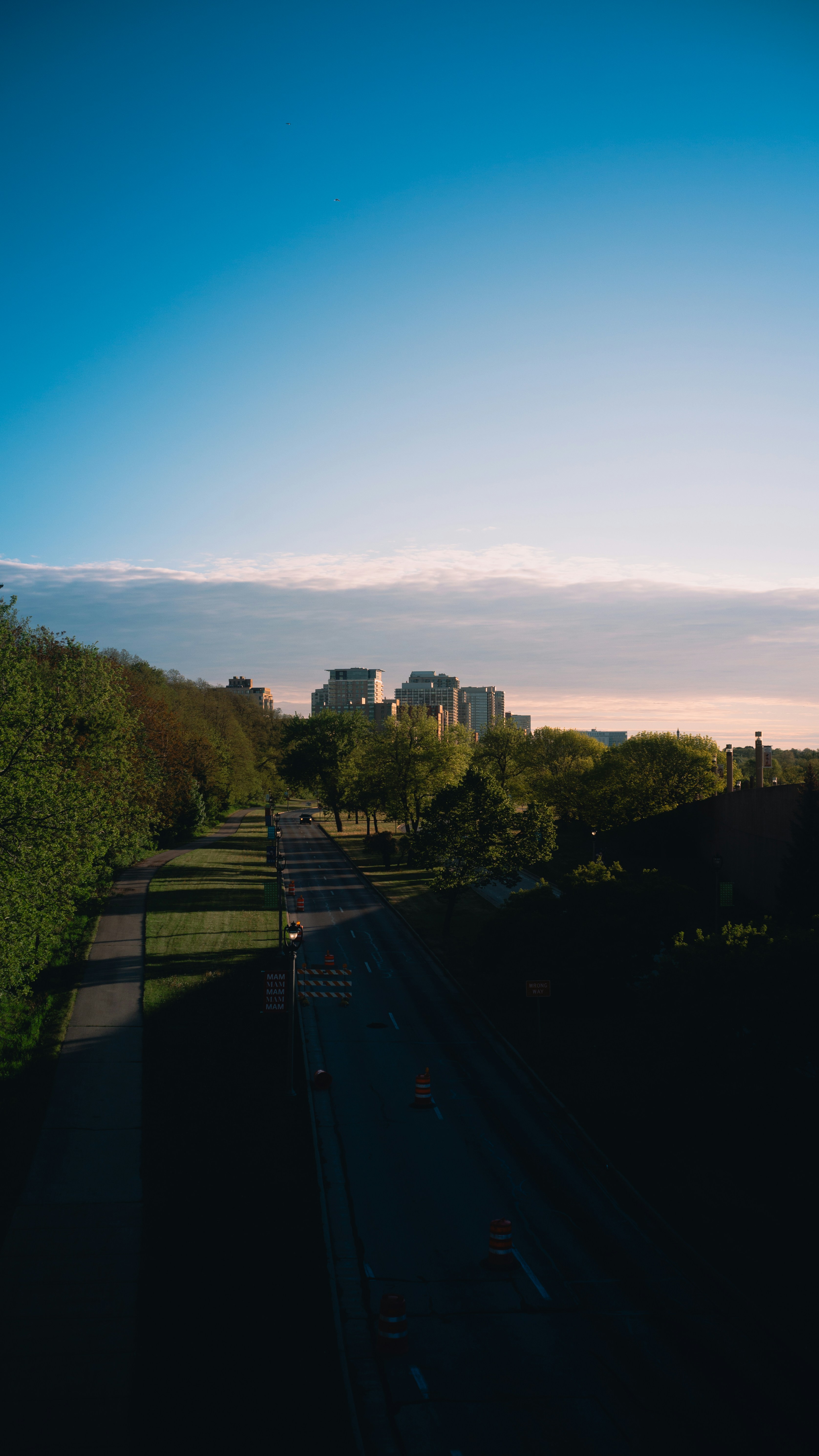 Sunlit city avenue leads toward a low-rise skyline framed by green trees and a clear blue sky.