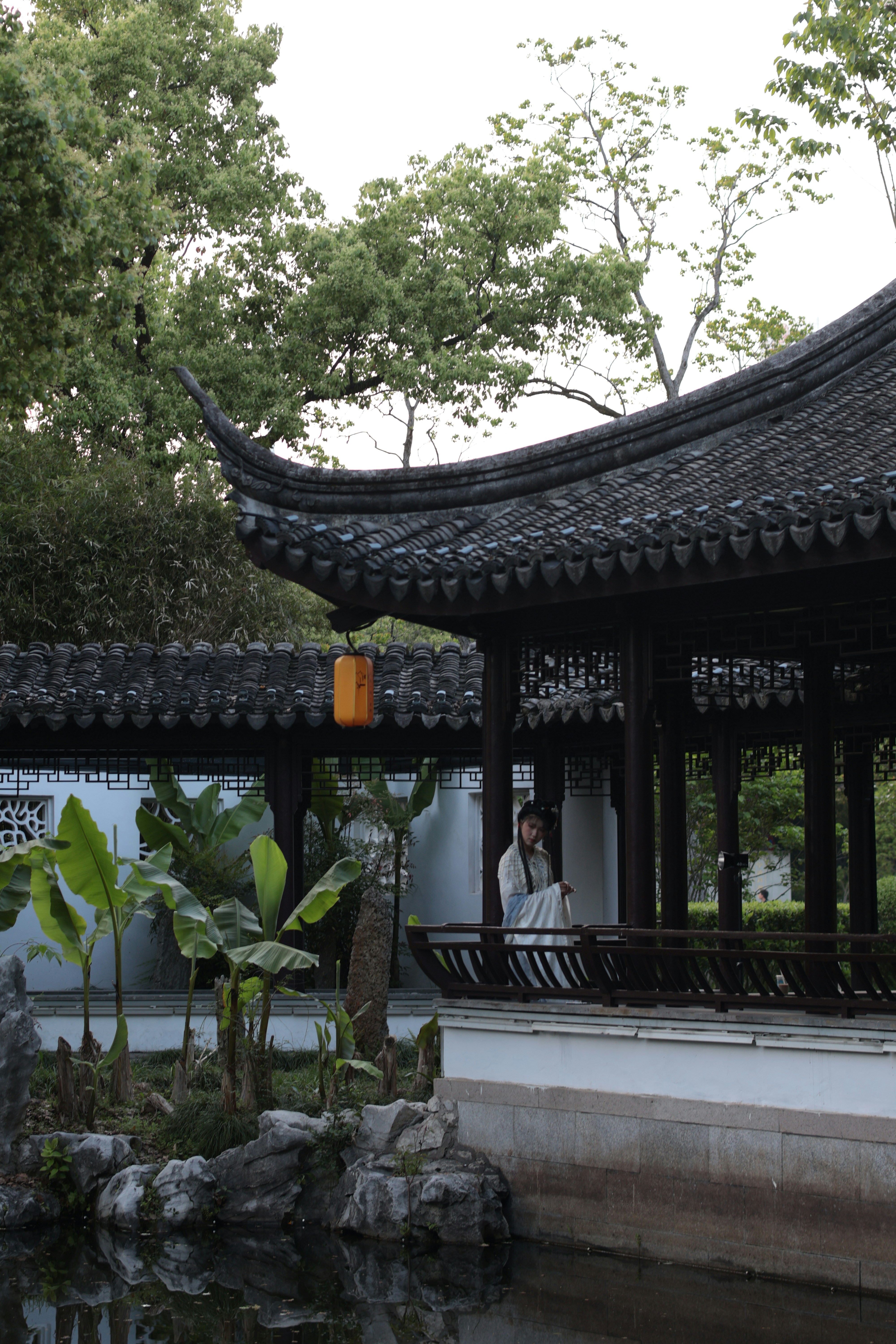 Quiet Scholar in the Pavilion by the Koi Pond