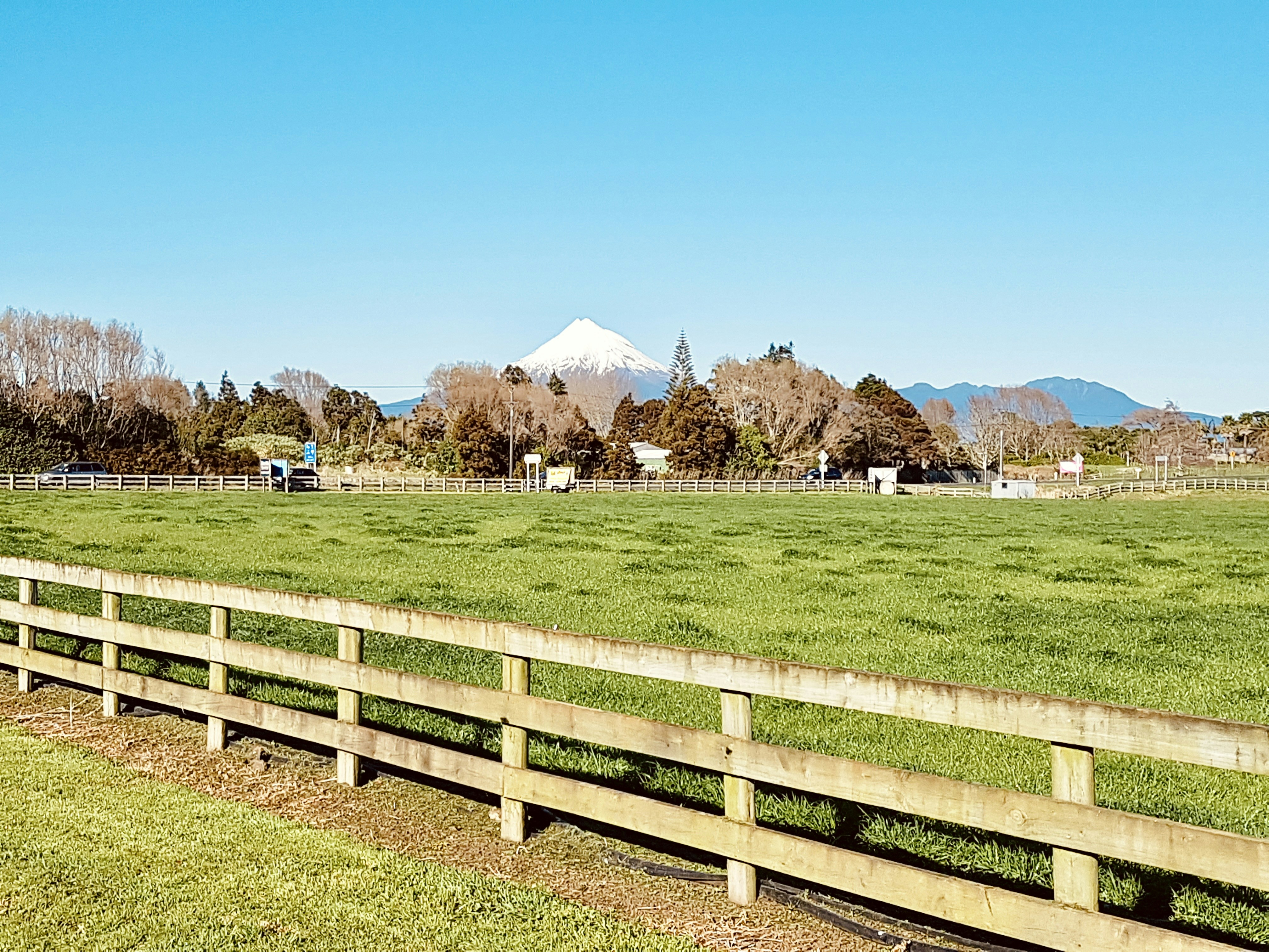 Pasture at the Foot of a Snow-capped Peak