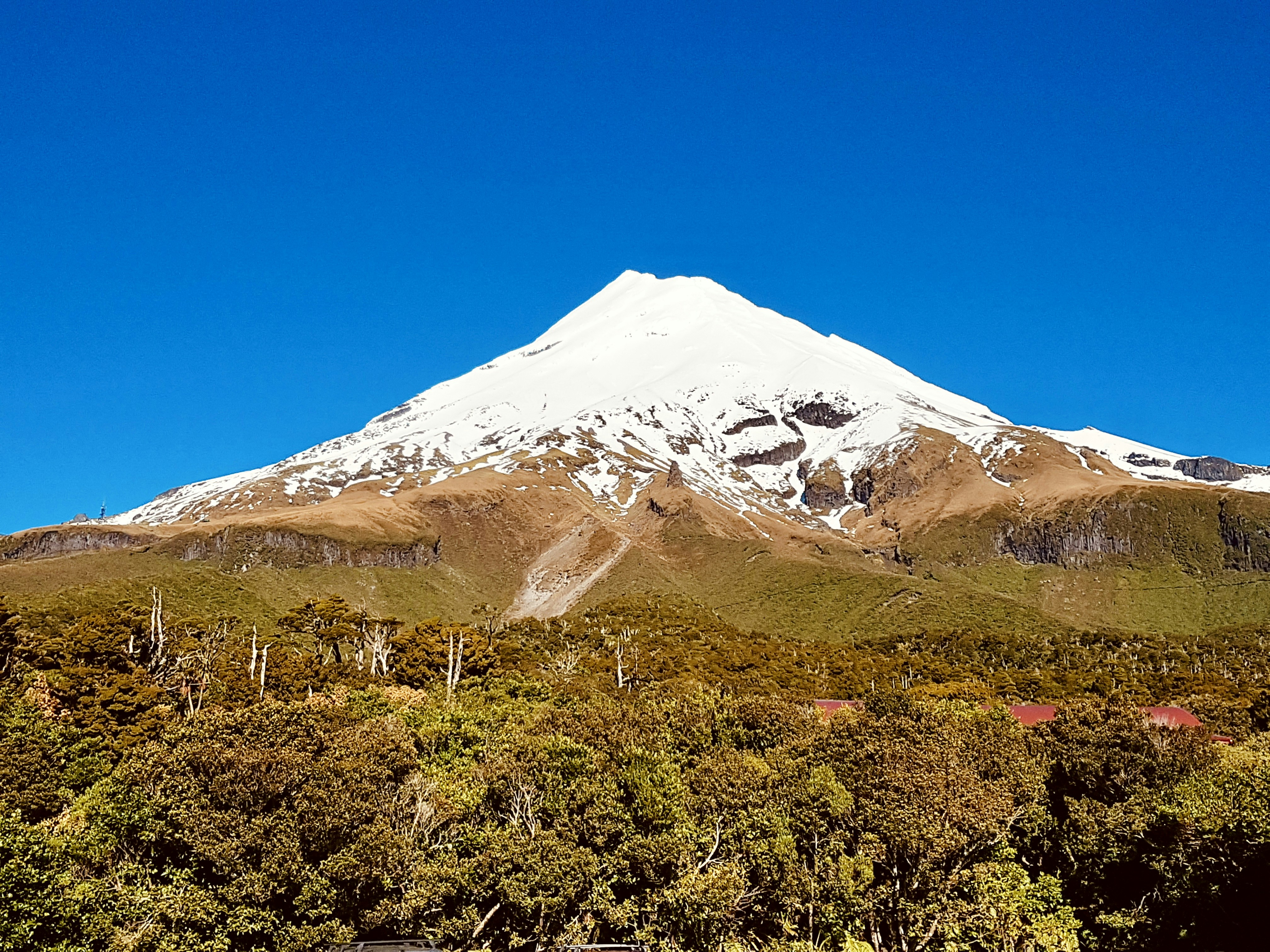 Snowcap Crowned Peak Over a Fall of Autumnal Forest
