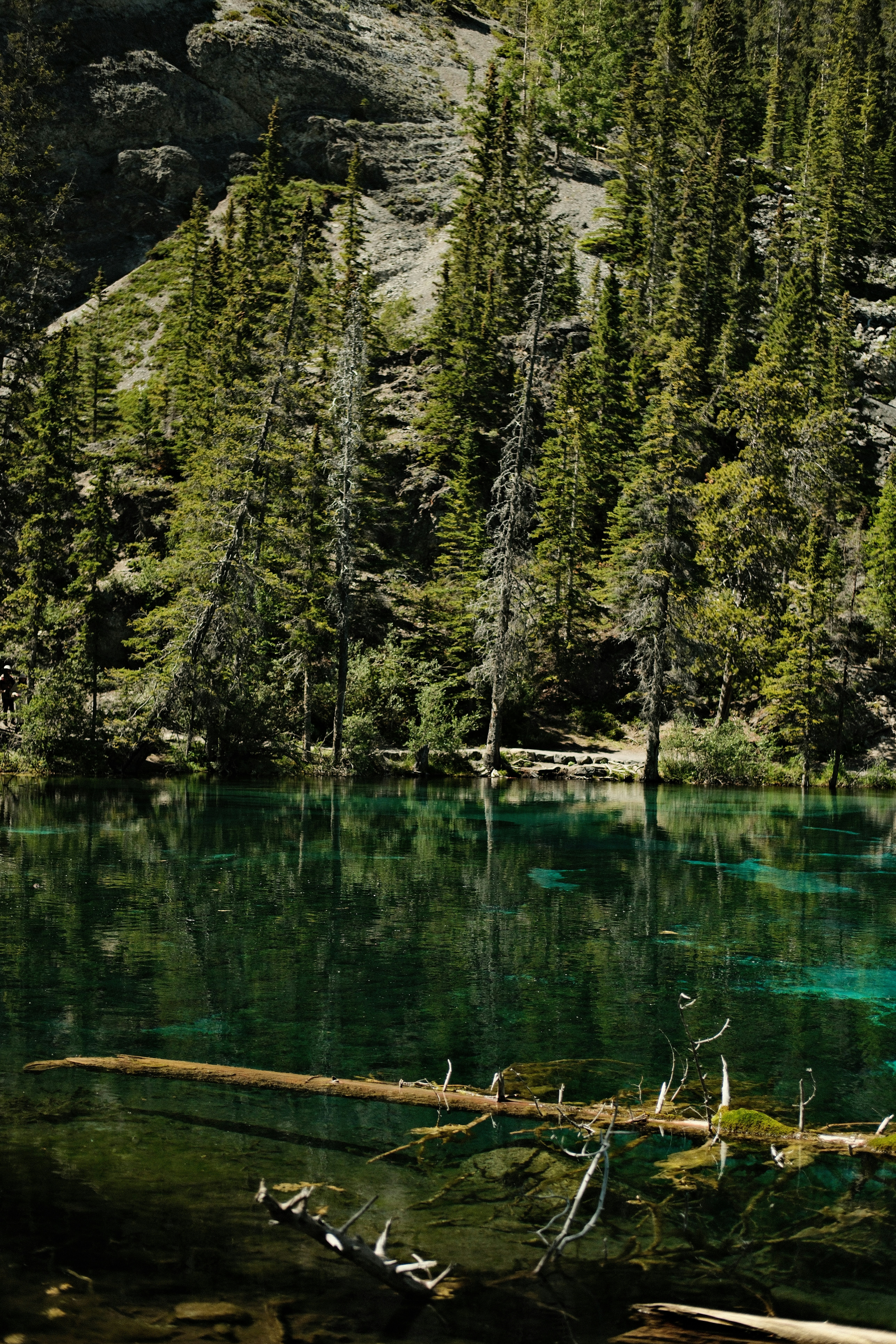 Emerald Mirror: Forested Cliff and Clear Lake