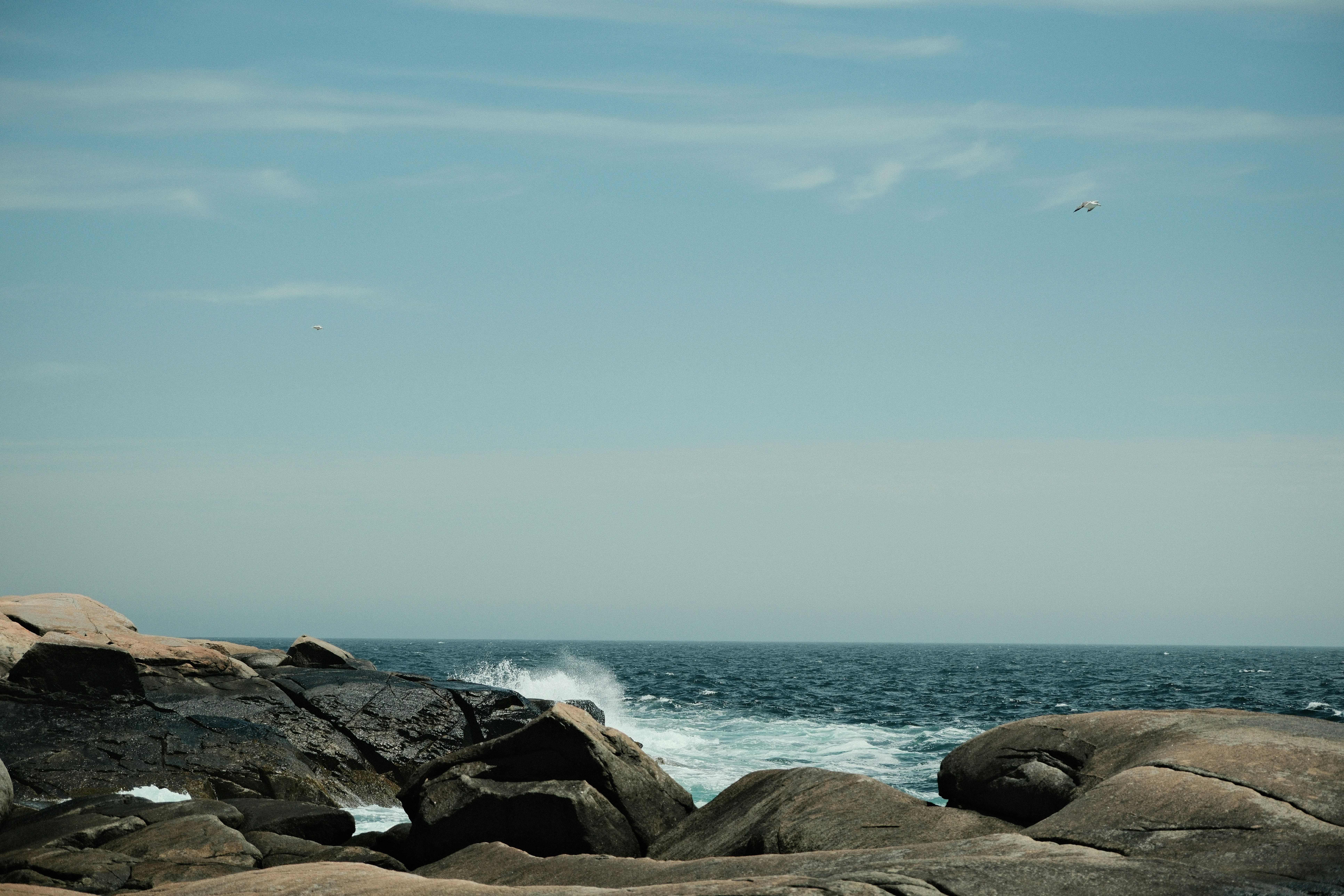 Coastal Rocks Meet the Pacific Edge