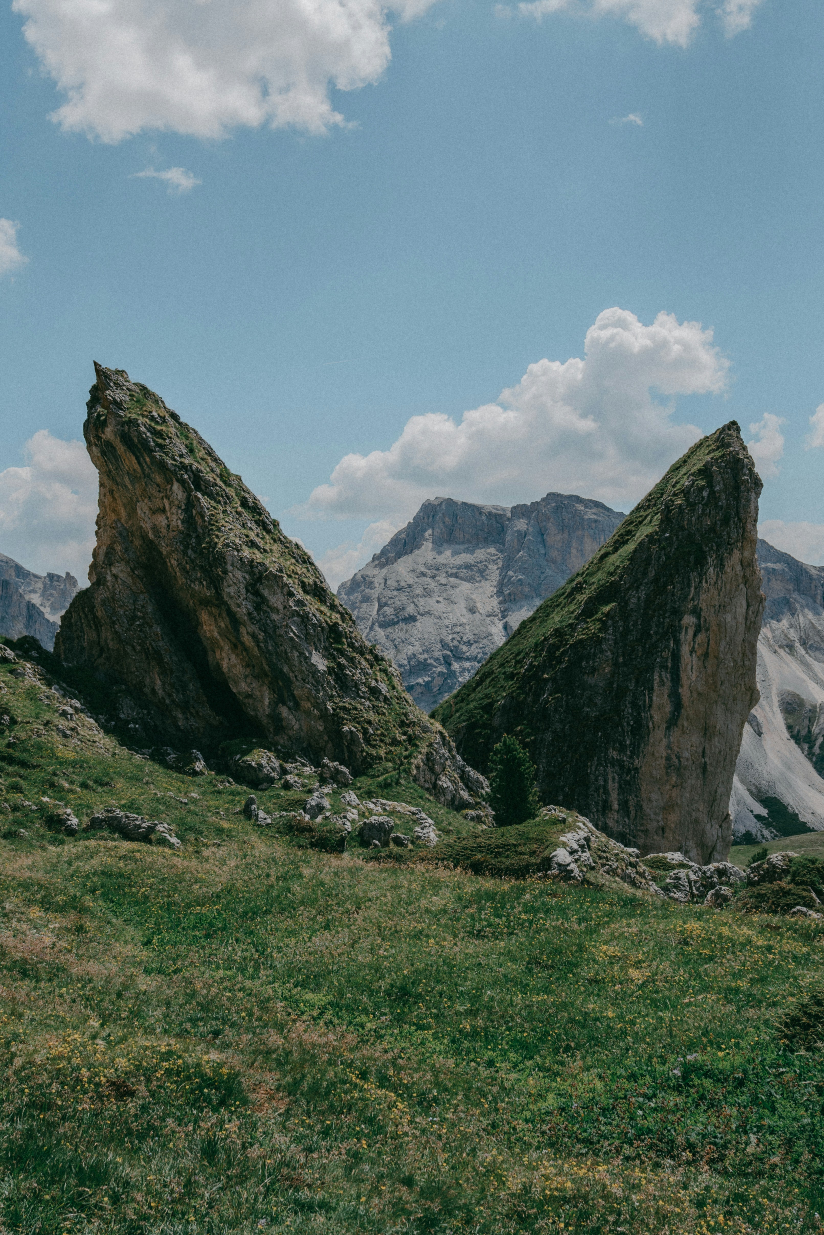 Two Sentries of Stone Hold Court Over Alpine Meadows