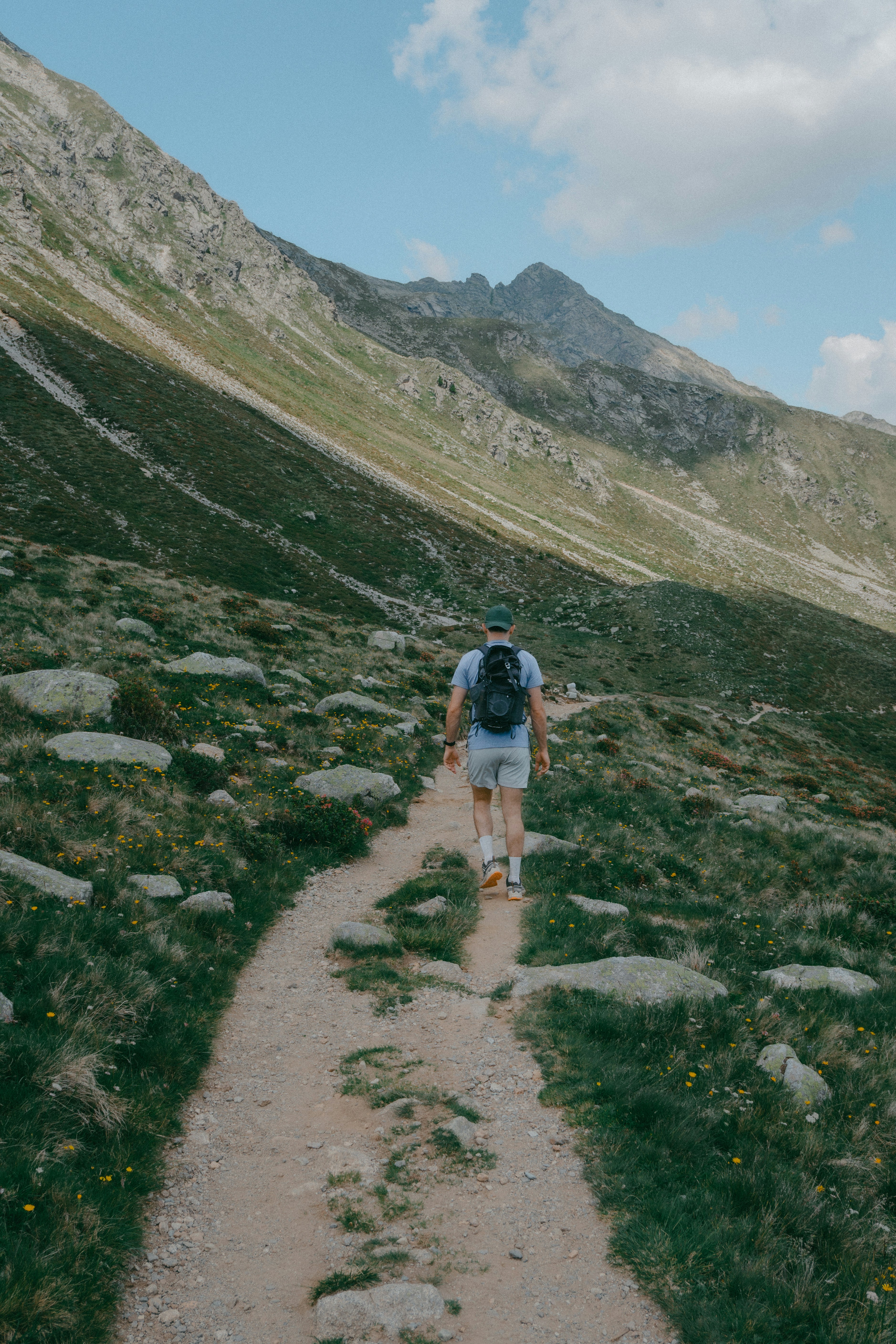 Trailblazer to the Alpine Ridge