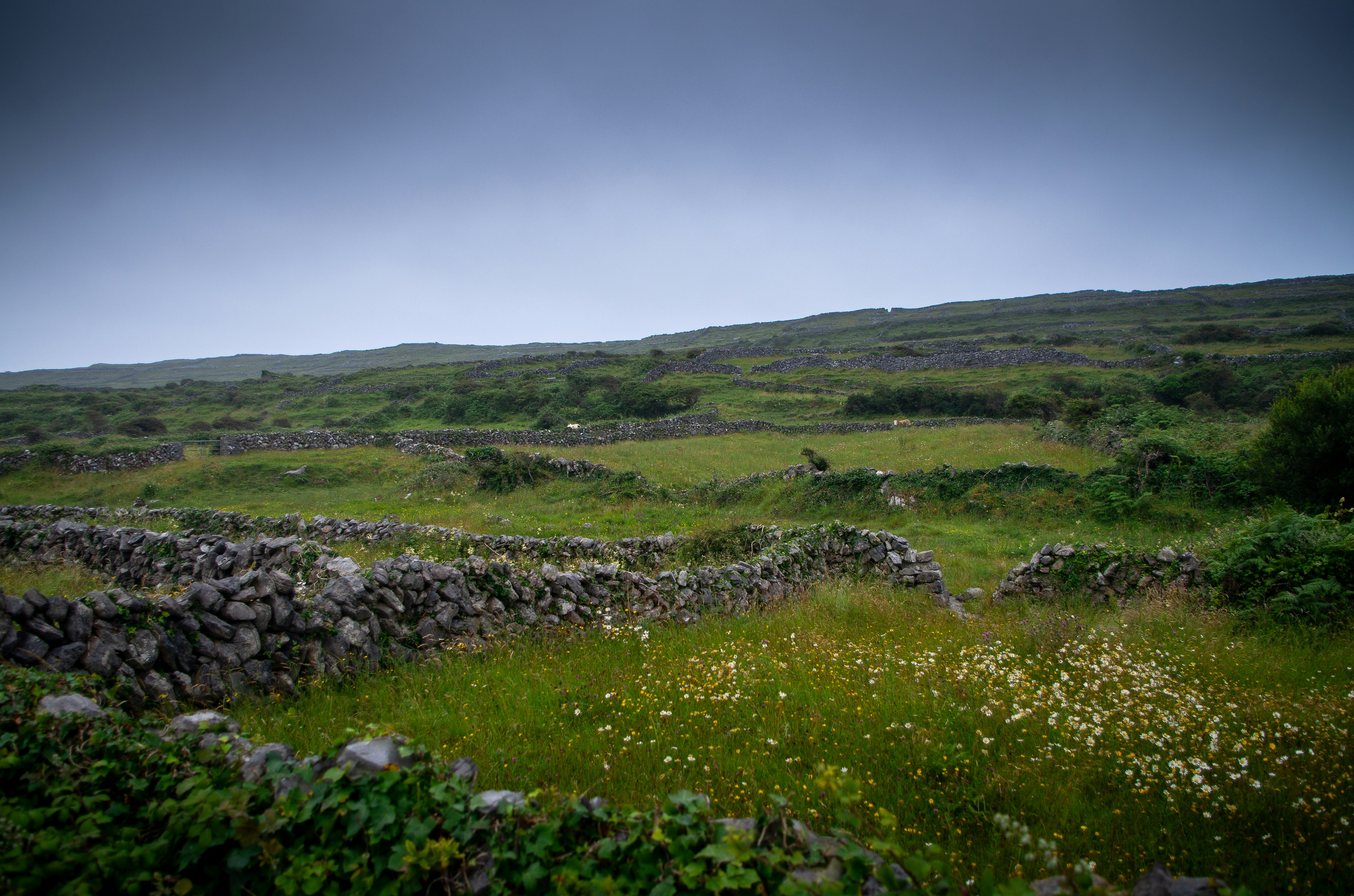 Stone Terraces under a Quiet Skies: Echoes of Green Hills