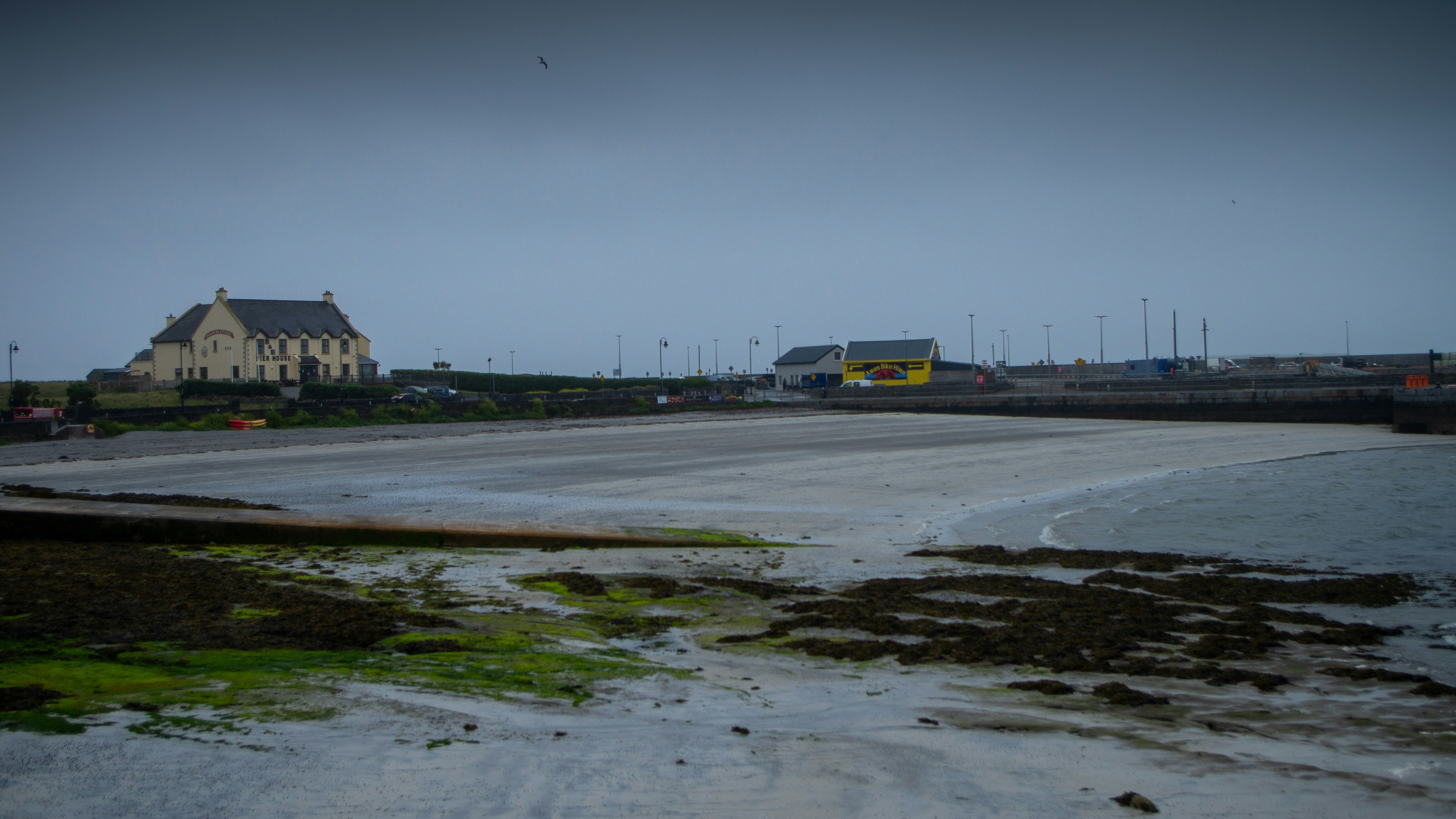Coastal Harbor at Dusk: Distant Buildings against a Quiet Tide