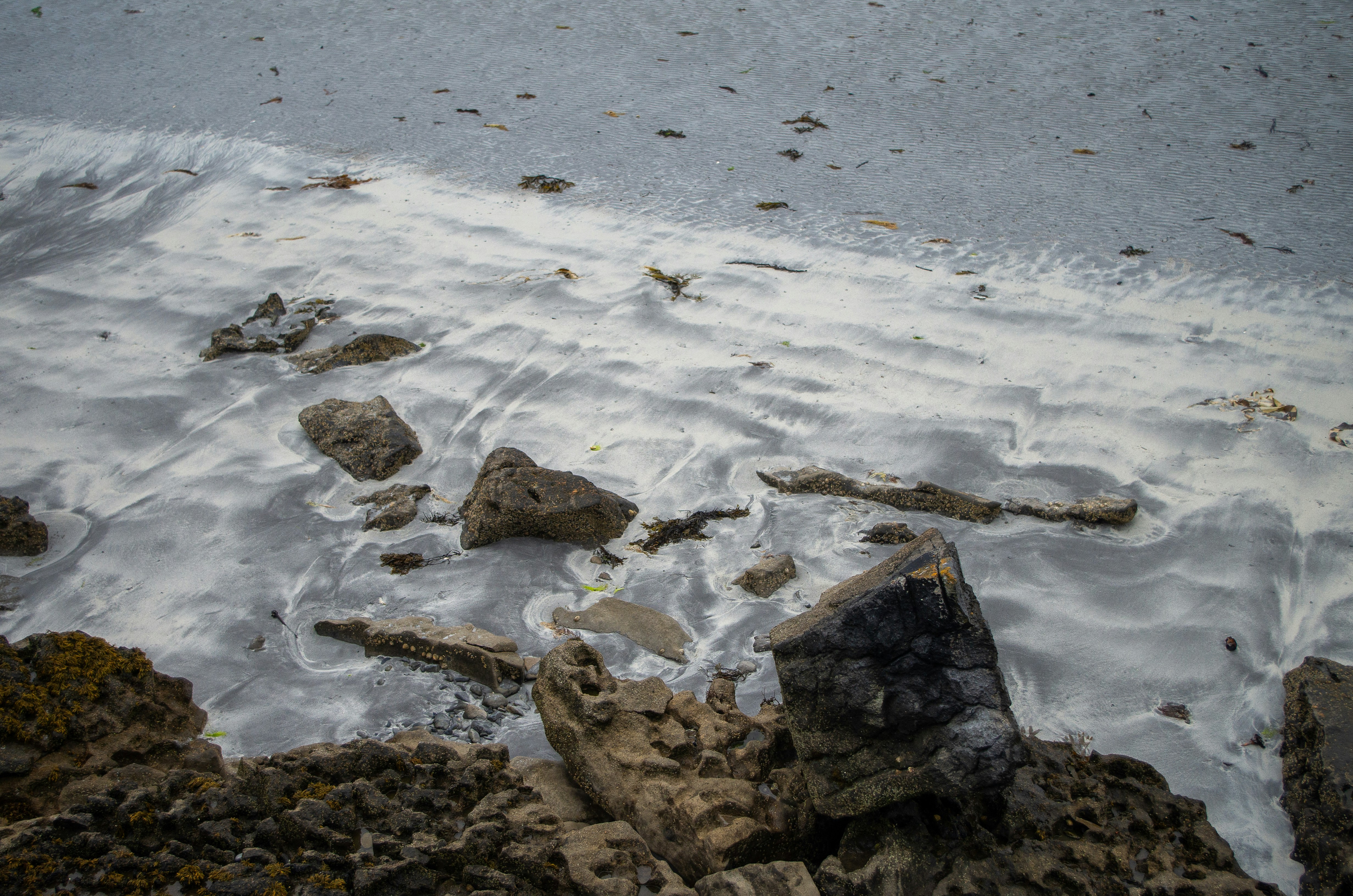 Tide-worn Rocks and Foam Edges on a Quiet Shore