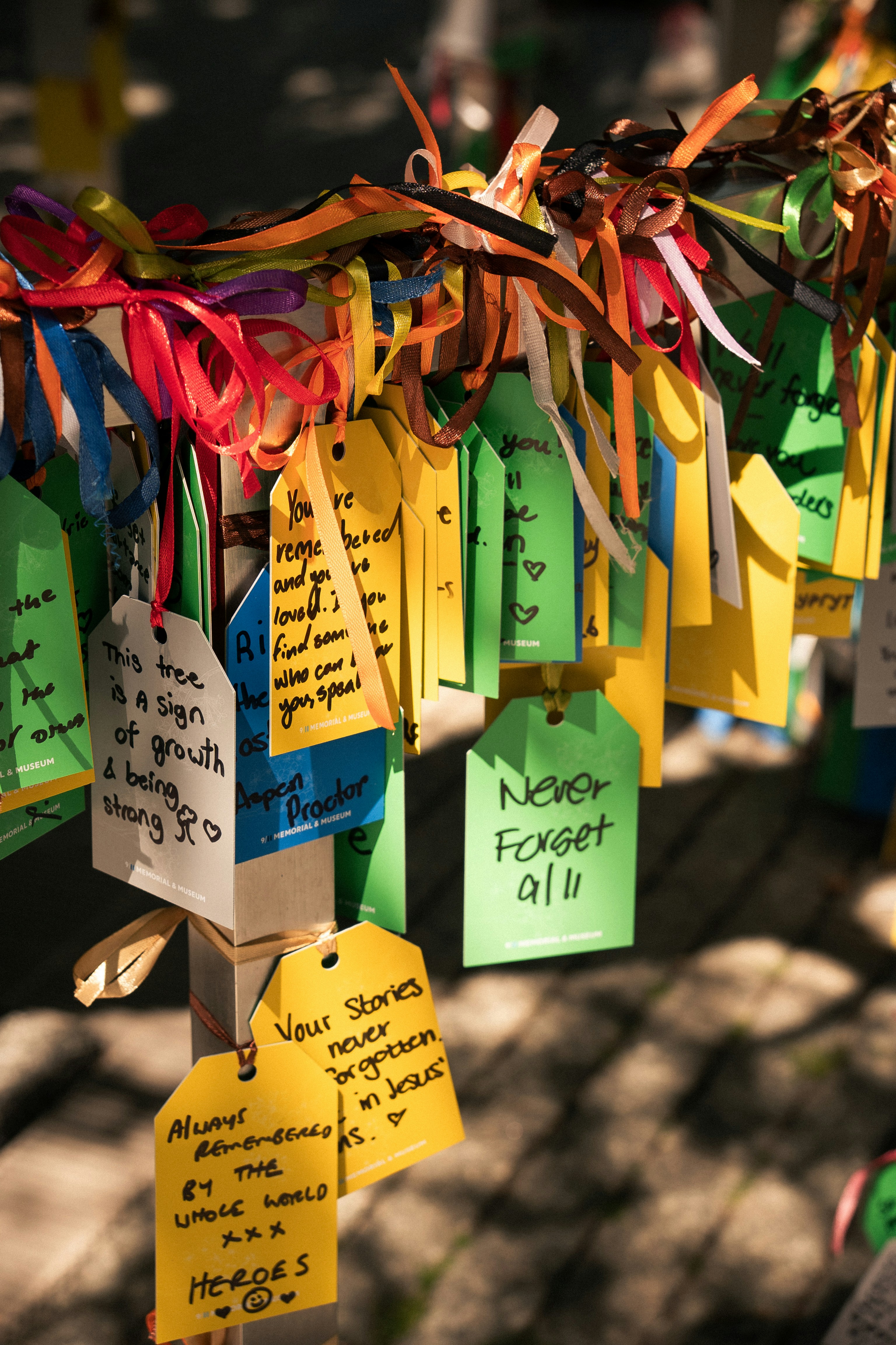 Chains of Wishes: Colorful Tags on a Ribboned Fence