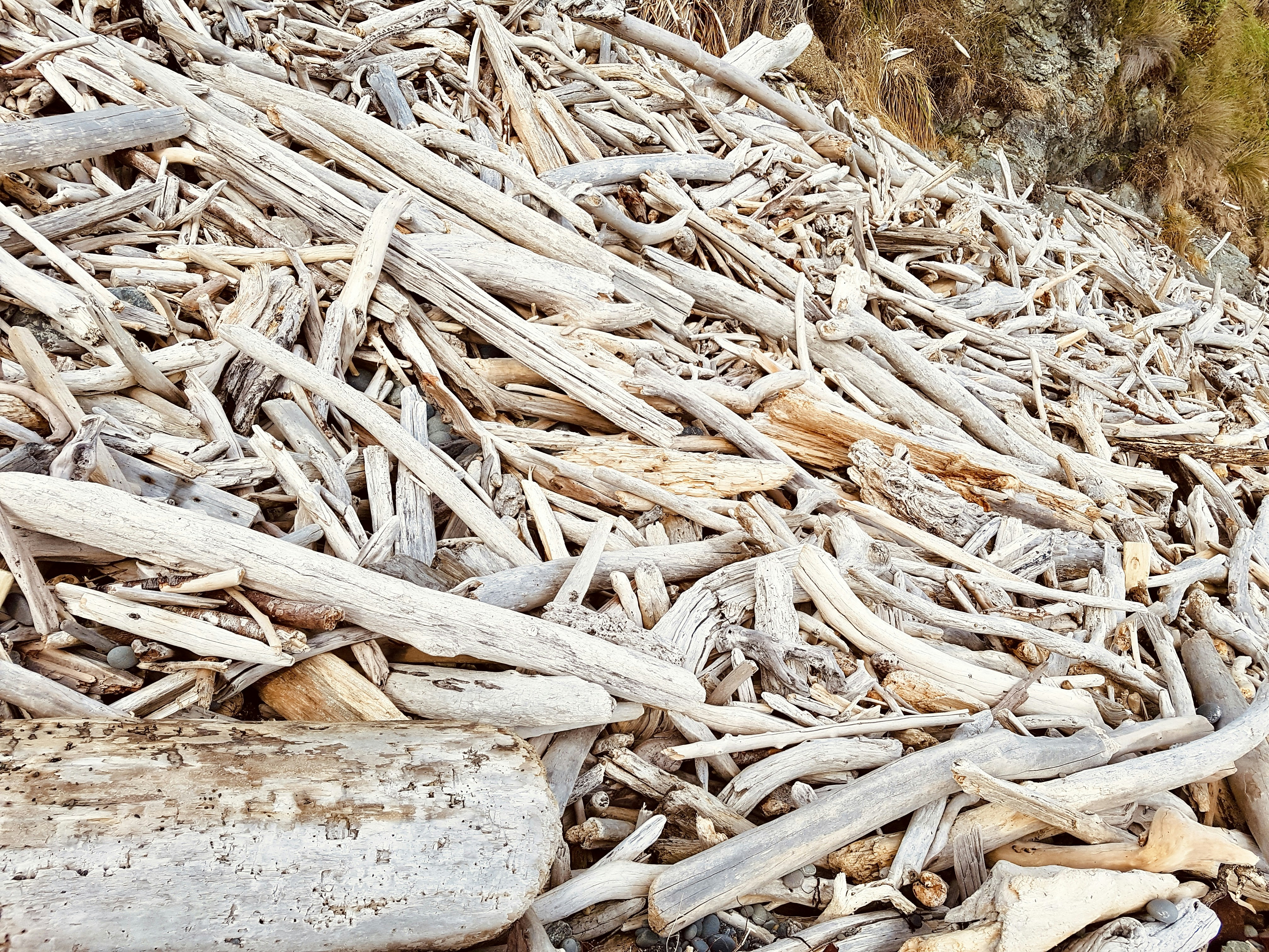 Driftwood Cascade: Tangled Sticks on a Weathered Shore
