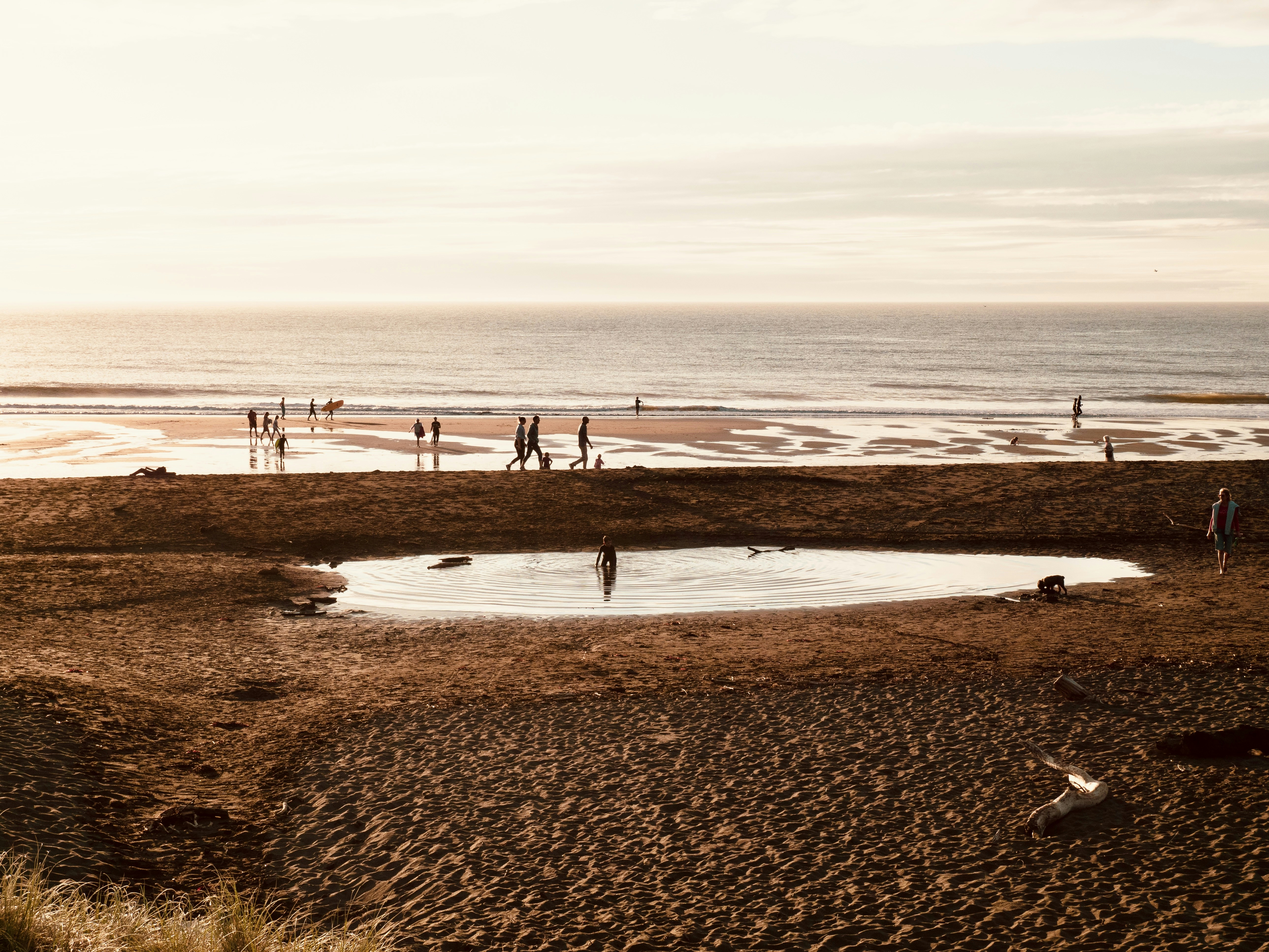 Sunlit Tides at the Quiet Estuary