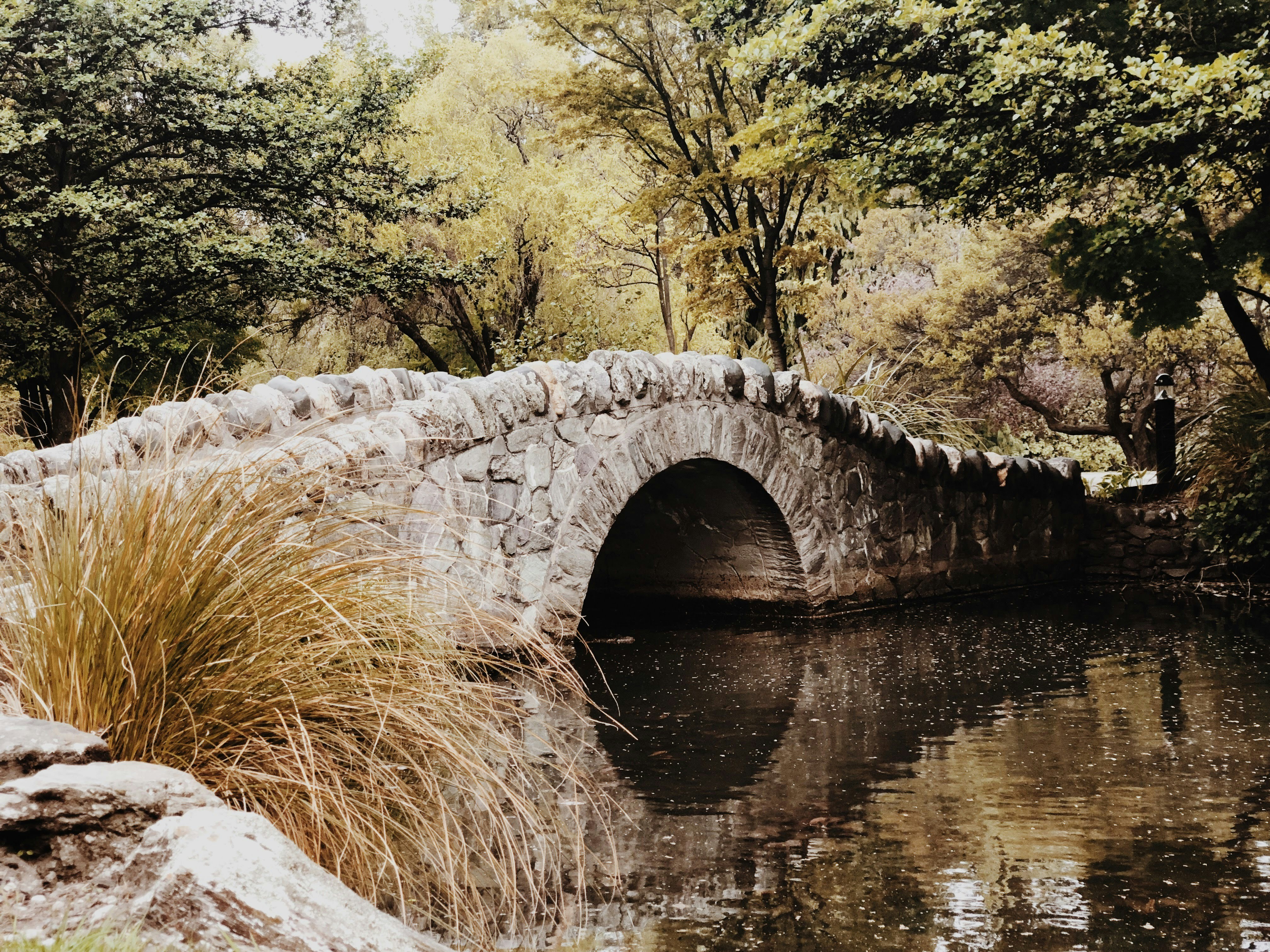 Queenstown Botanical Gardens - Stone Bridge