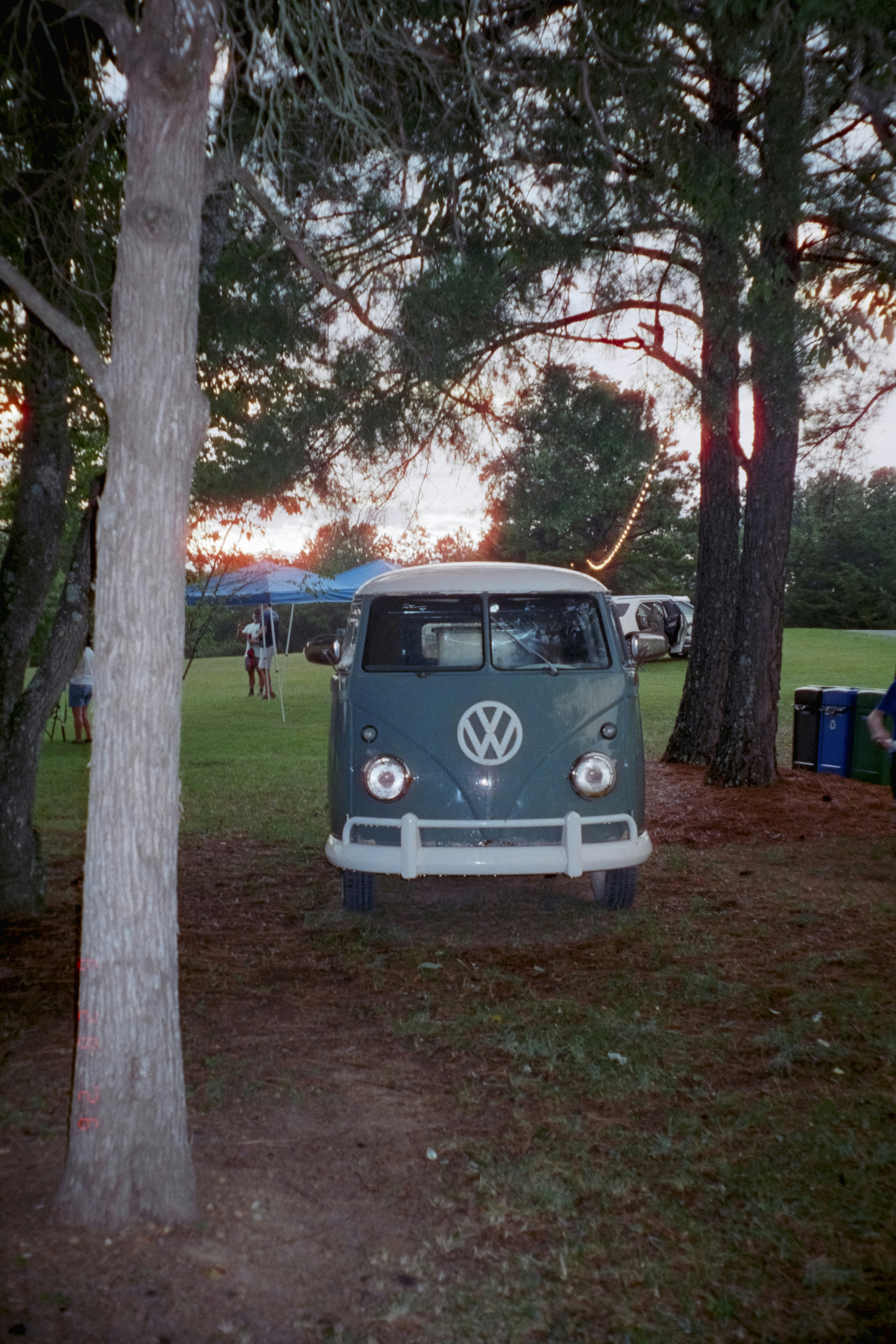 Center of nostalgia: a teal VW van framed by pines at sunset