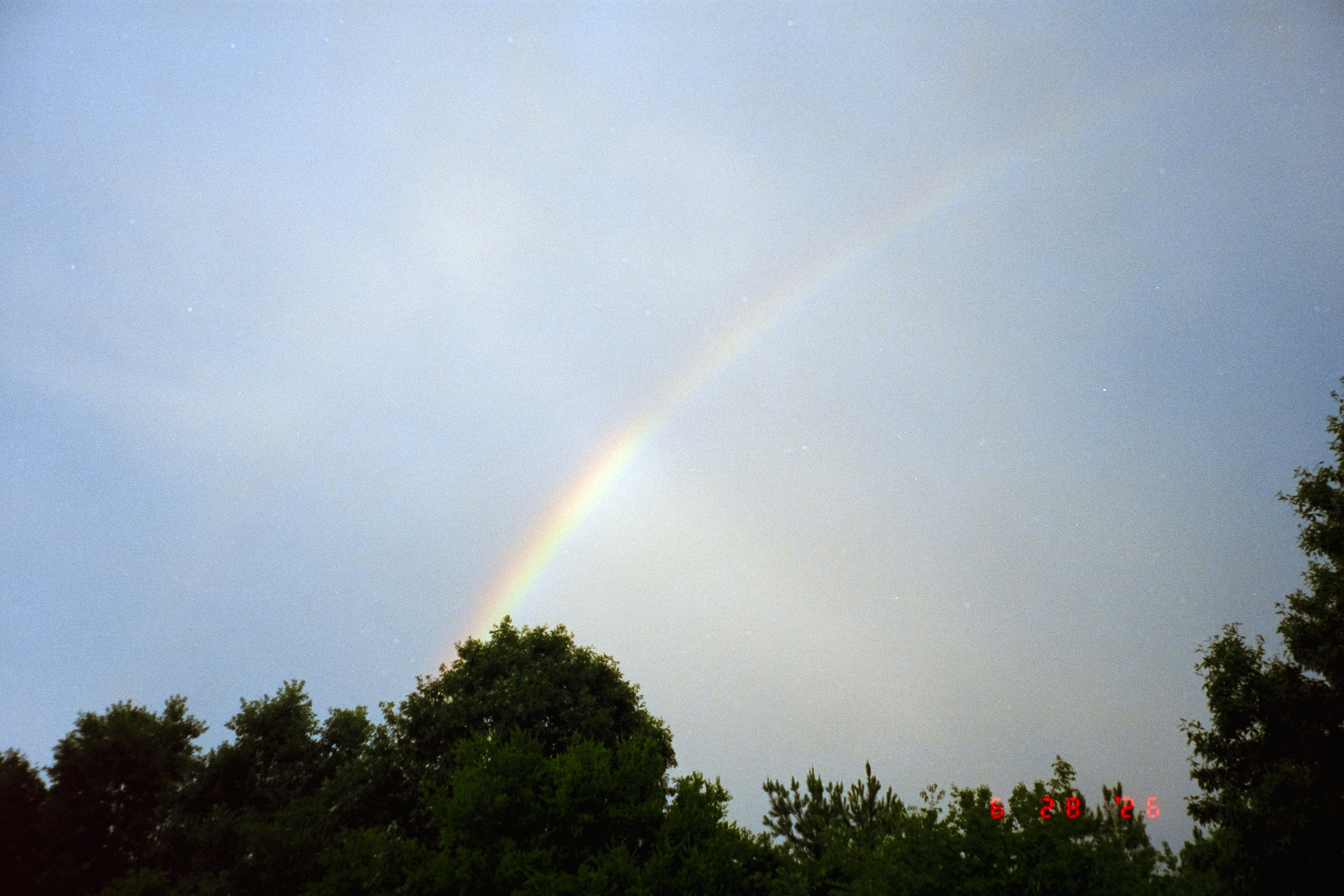 Rainbow Arc Over a Timbered Horizon