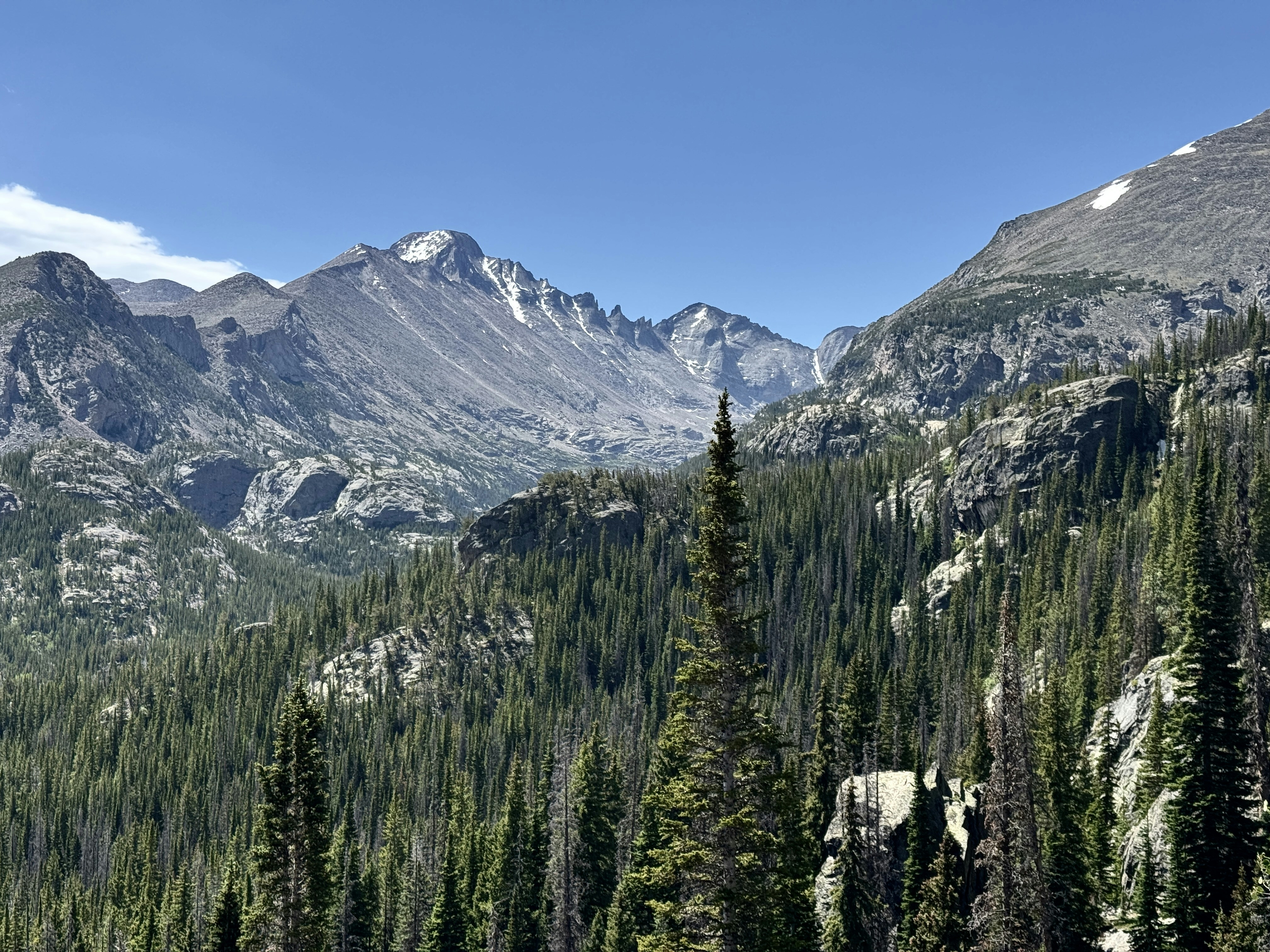 Summit Pines: A Mountain Panorama with Cone-shouldered Peaks