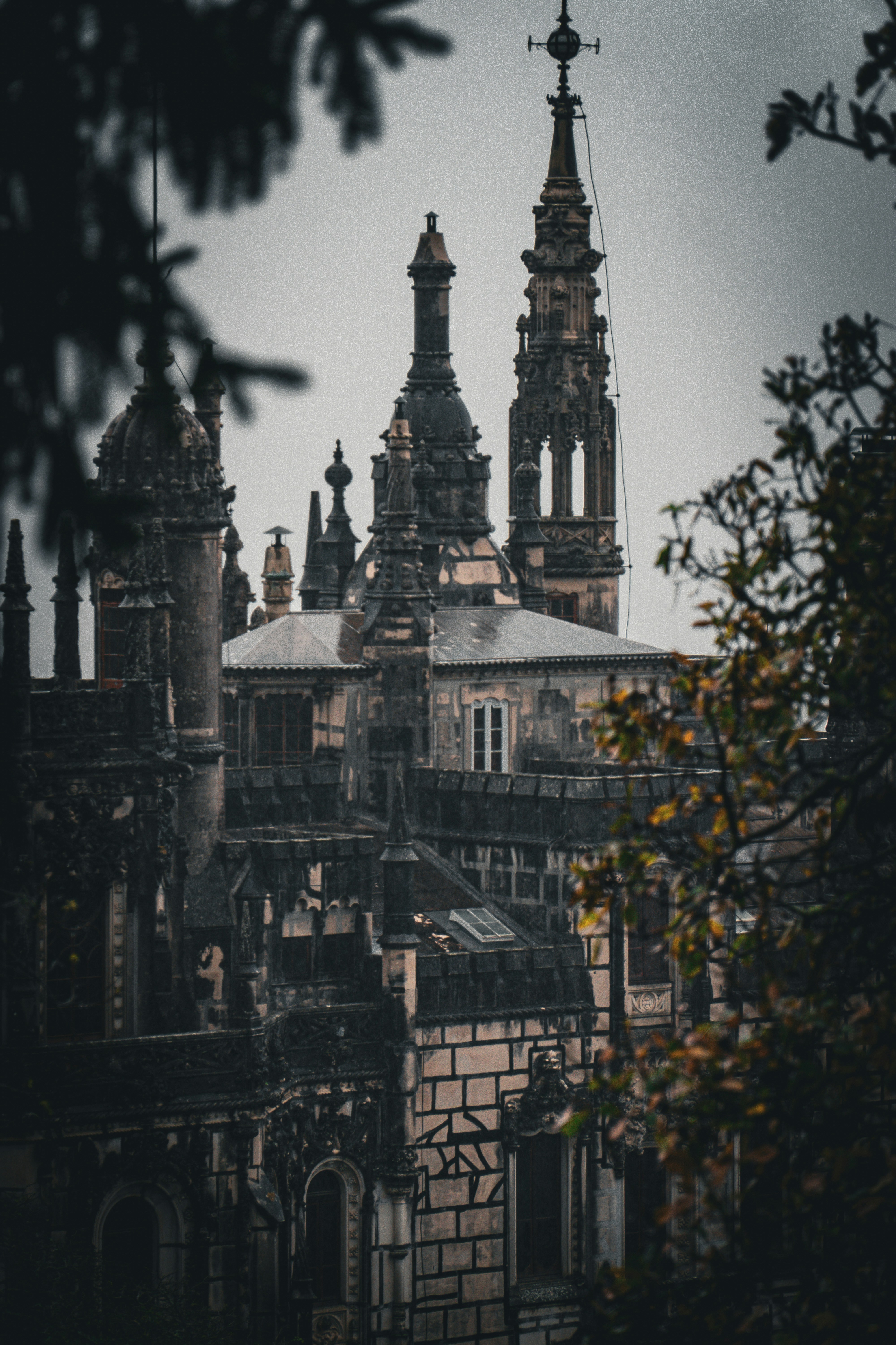 Gothic Rooftops Rise Beyond the Frame