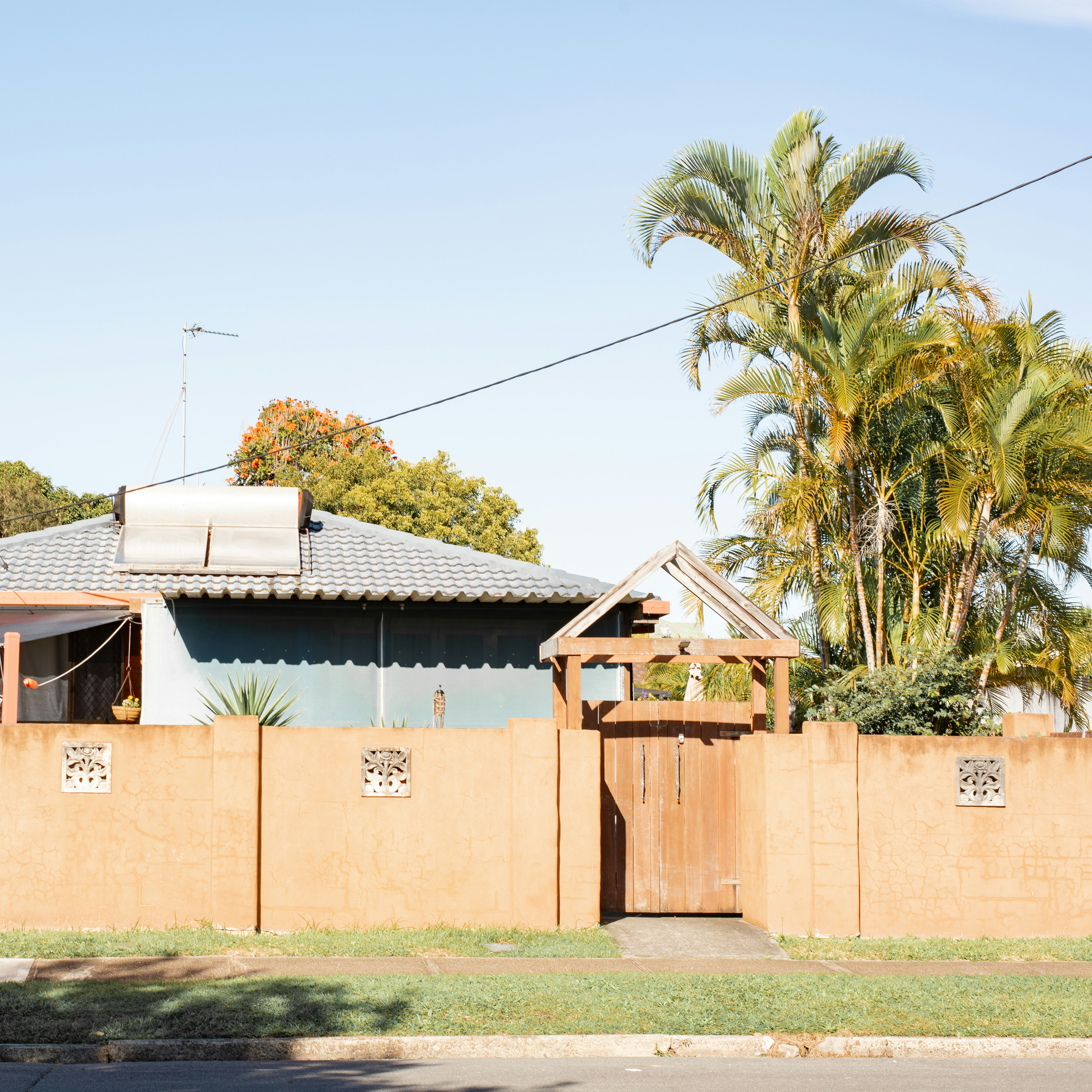 Sunlit Yard Gate with Palm Backdrop