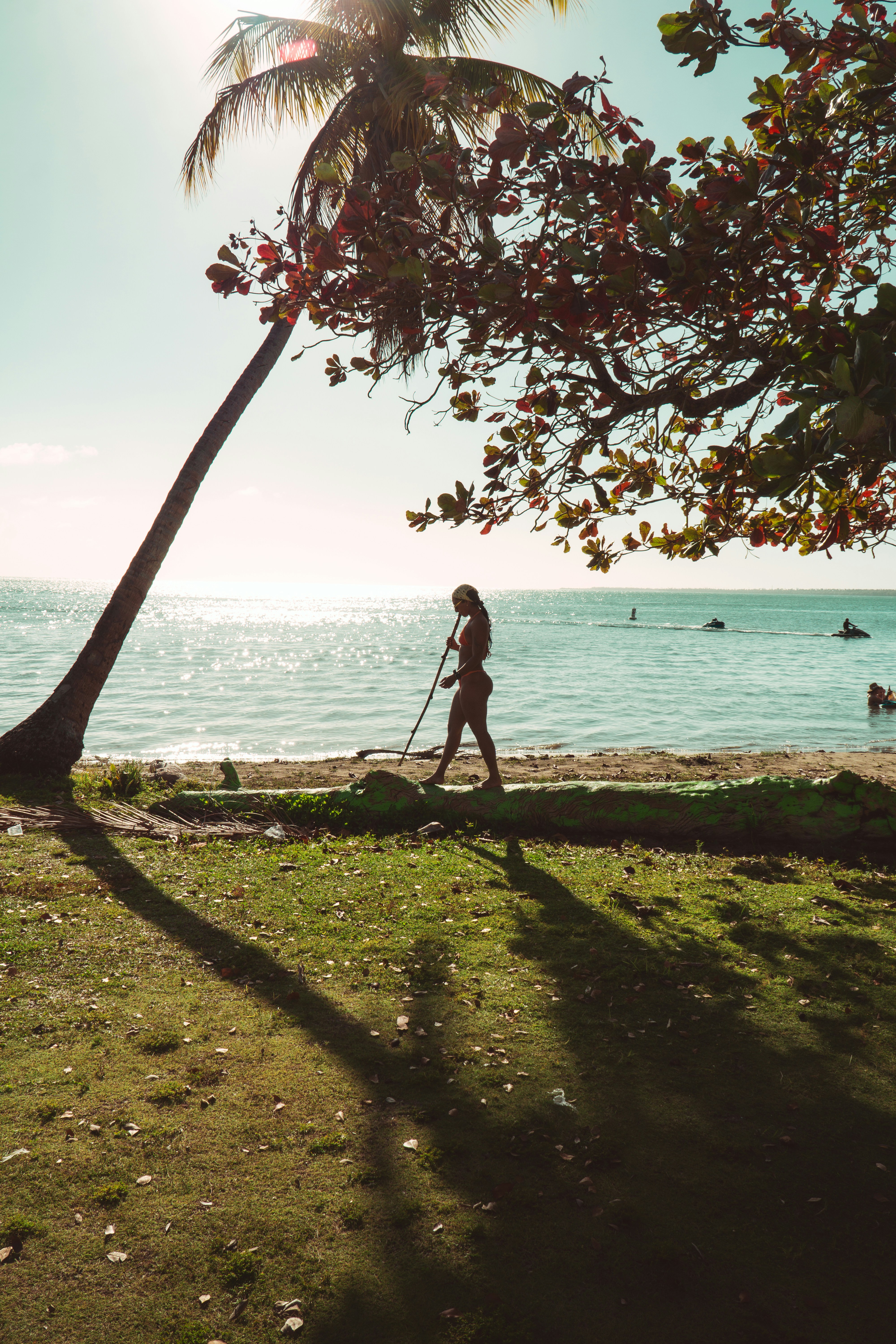 Silhouette Stroll by the Sunlit Shore
