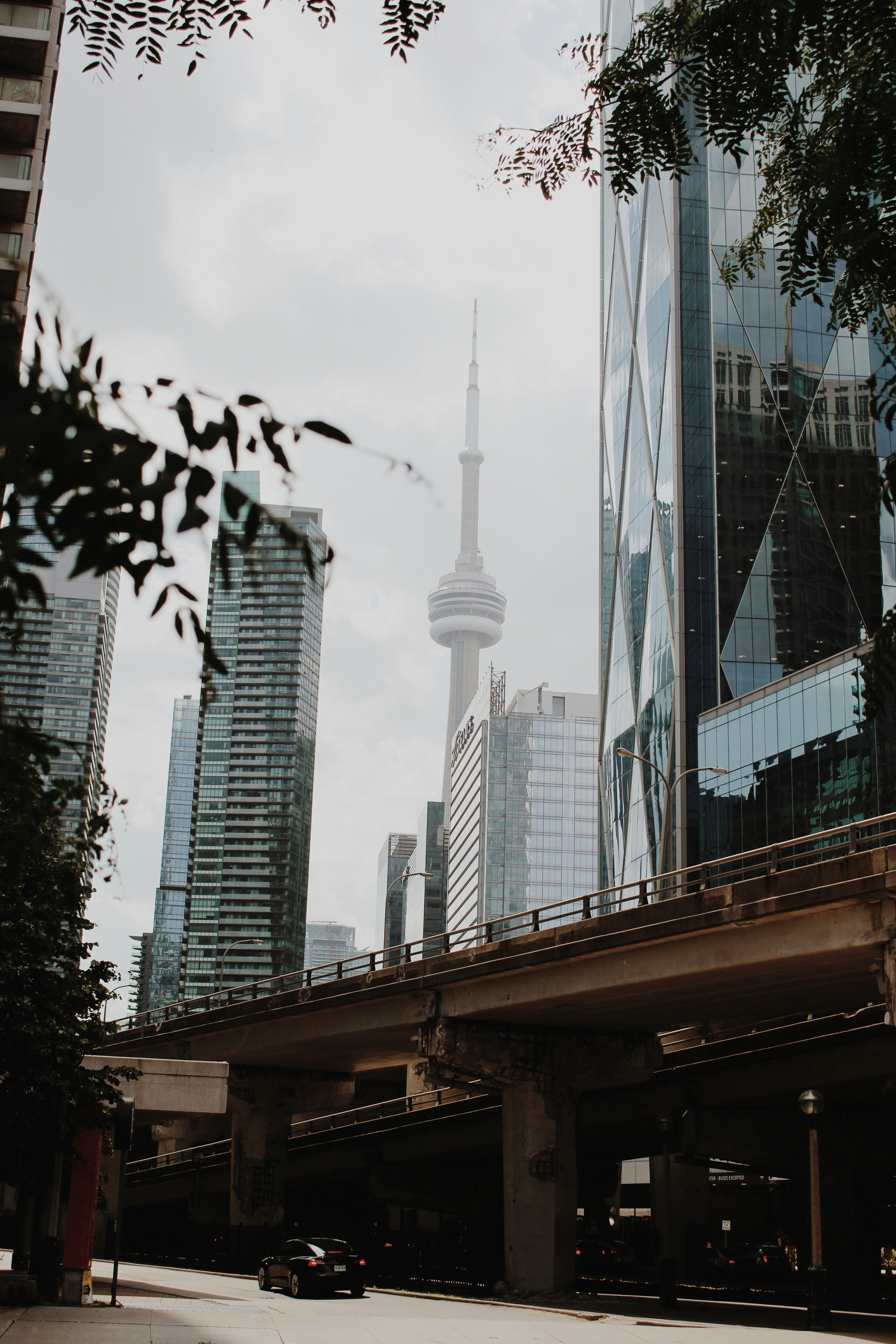 Skyrise Needle: Toronto Tower Framed by Glass and Concrete