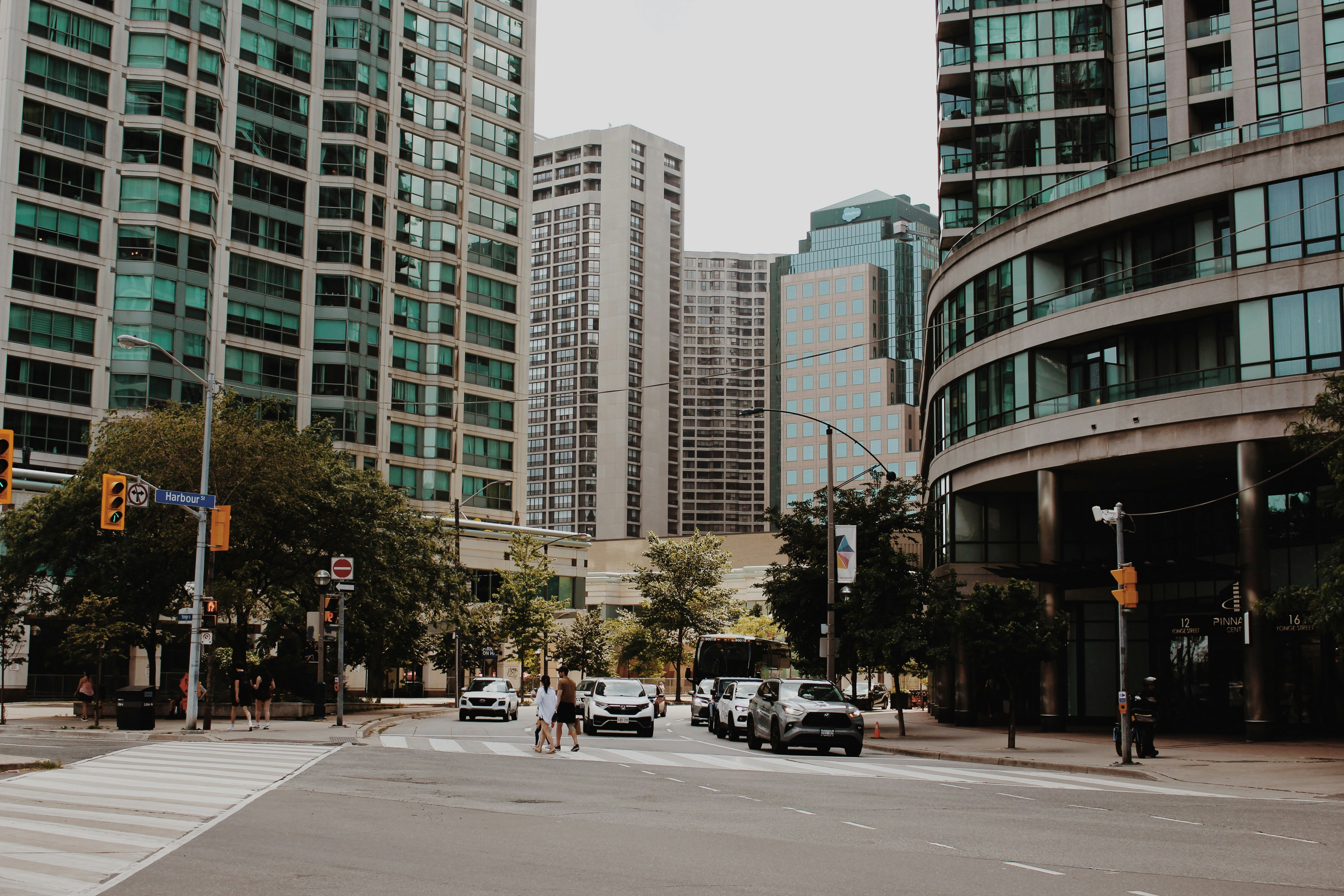 Urban Confluence: Cars, Crosswalks, and Skyward Glass