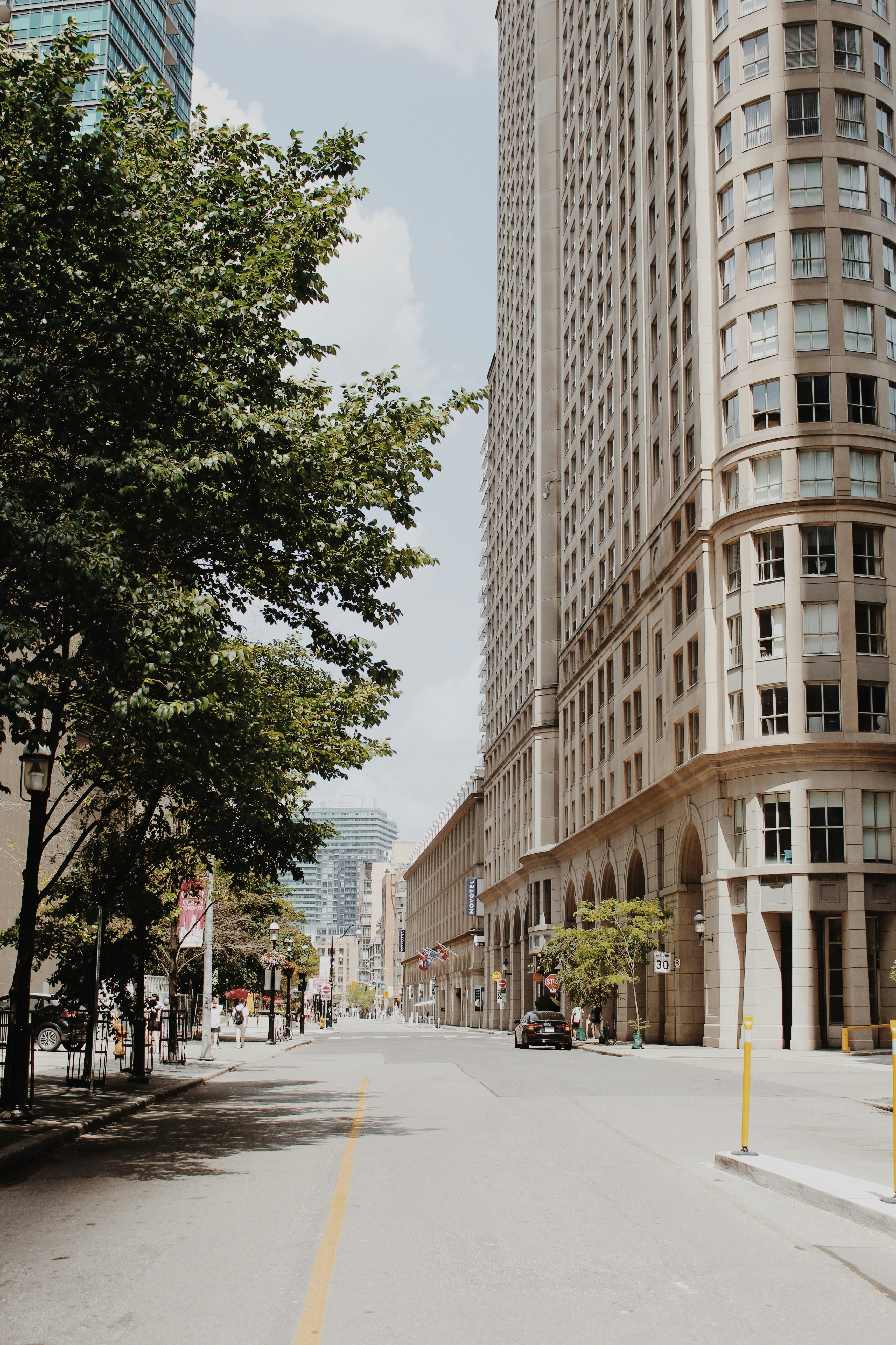 Canyon Street: Sunlit Urban Canopy Framing a Grand Facade