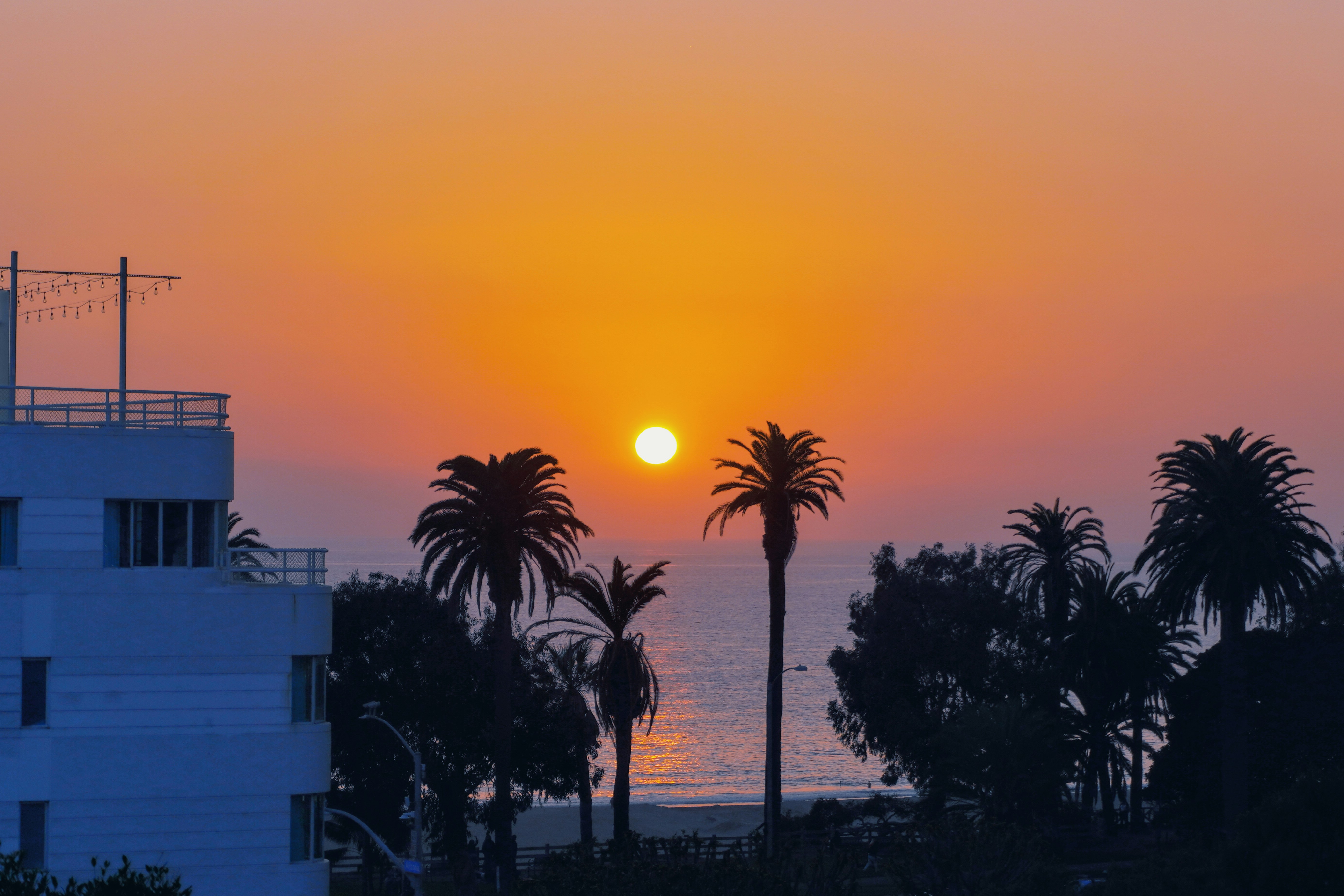 Sunlit Silhouette: Palm Line and Ocean Crest at Dusk