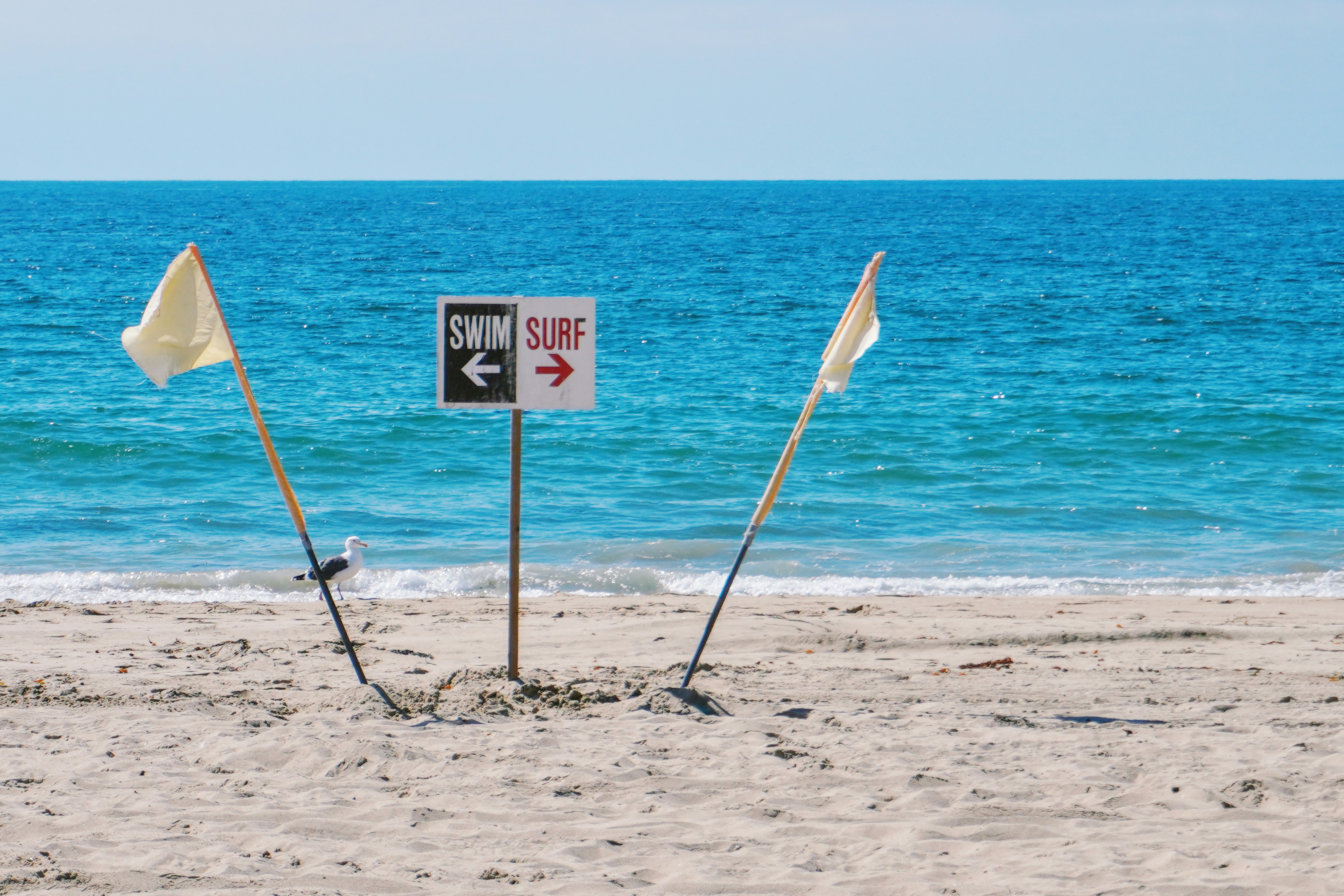 Lifeguard’s Crosswinds: Flags, Sign, and Sea