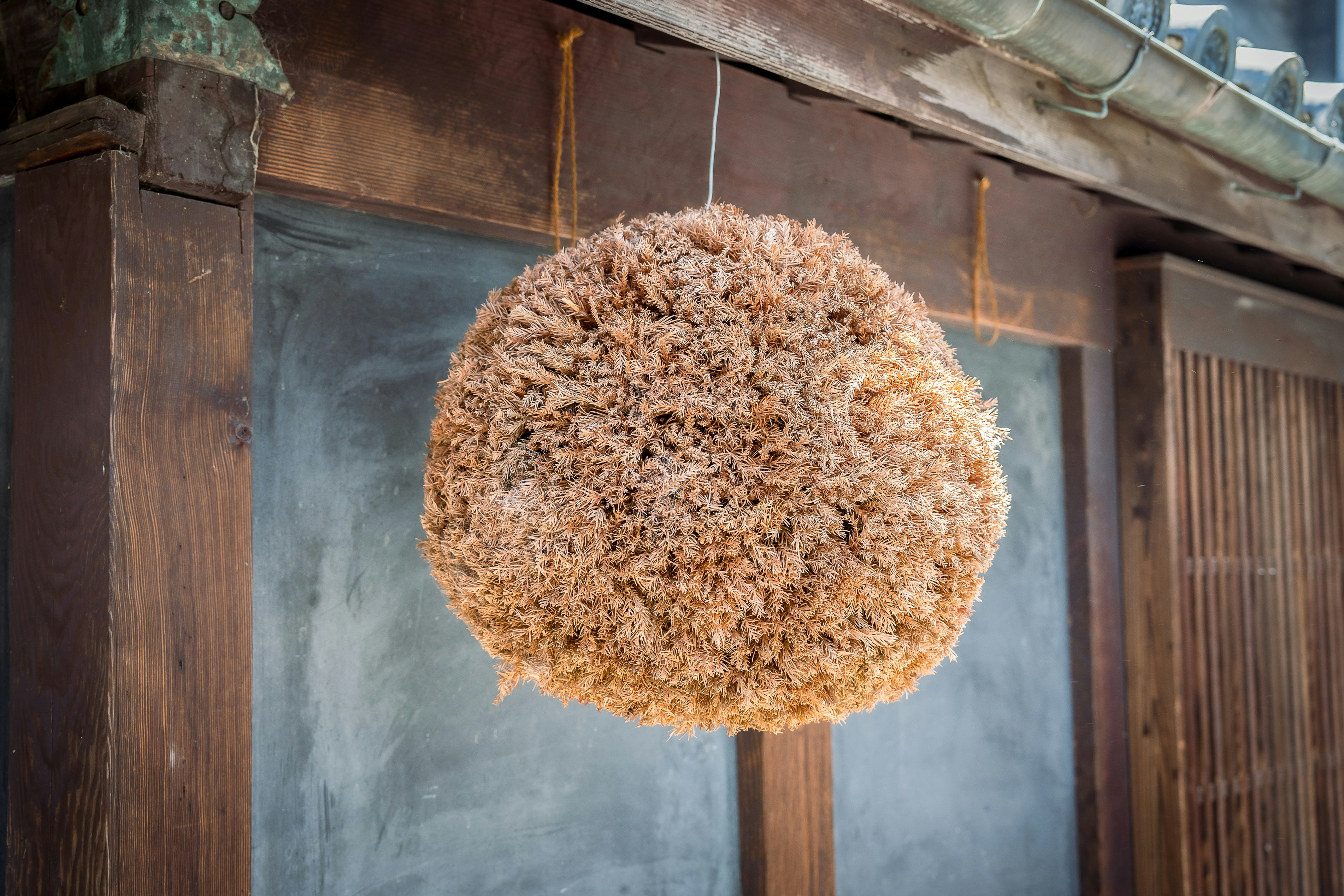 Hanging Lodging: A Parsimonious Spherical Moss Ball