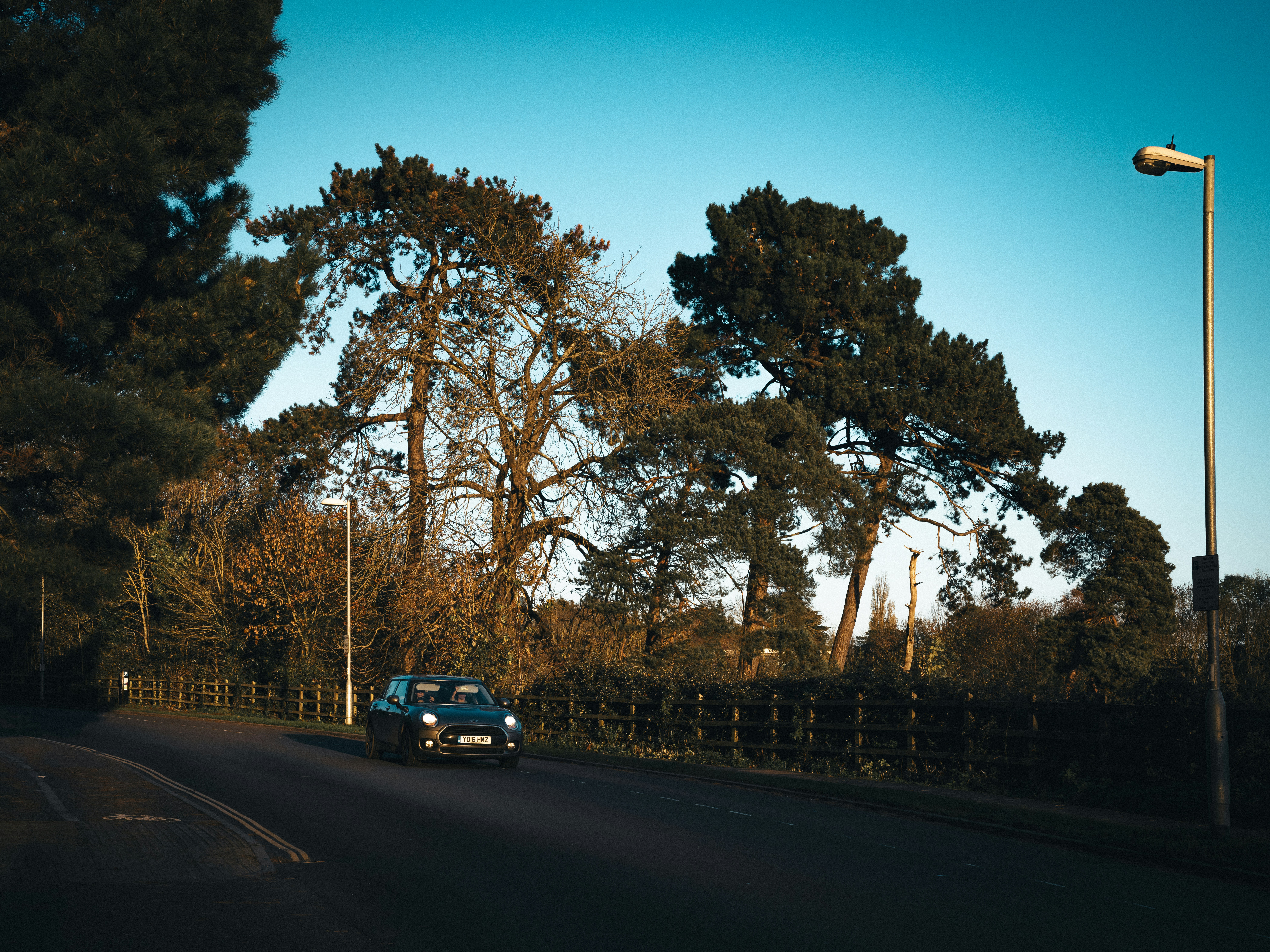 Midday Car on Quiet Suburban Road Framed by Tall Trees