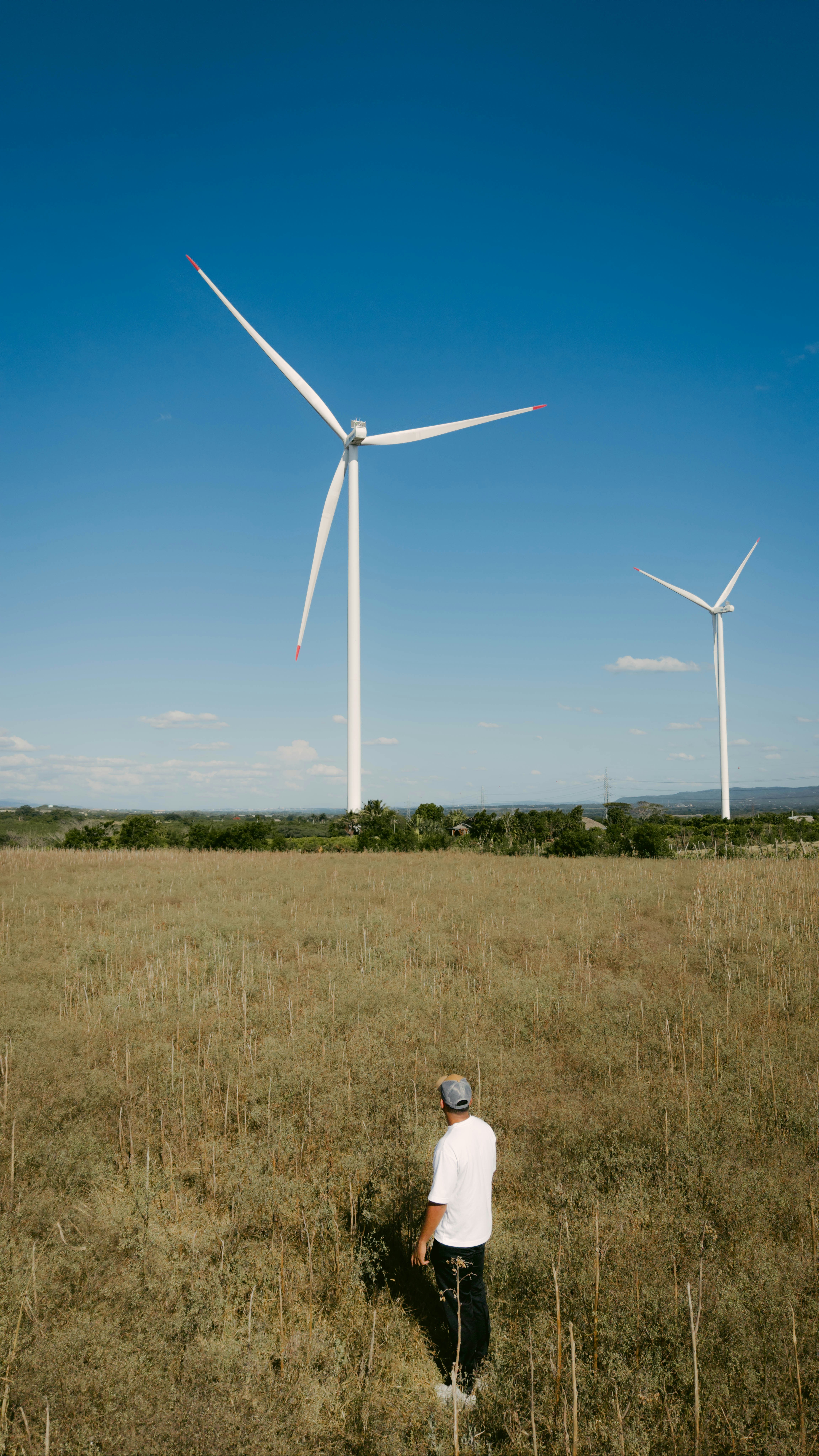 Field Guide to Giants: A lone observer in a wind-swept plain beneath towering turbines