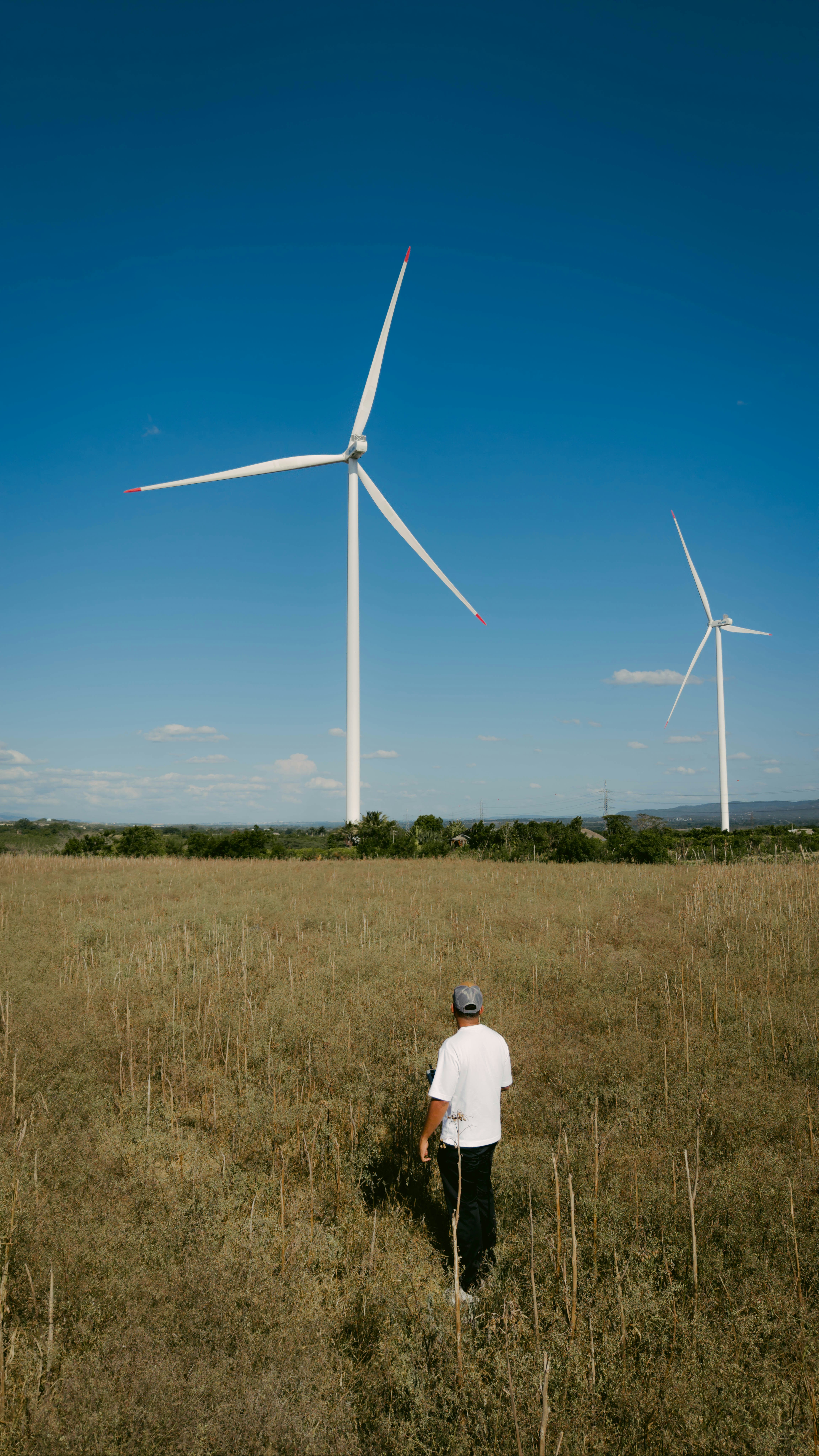 Windward Path: A Lone Visitor Beneath Monolithic Turbines